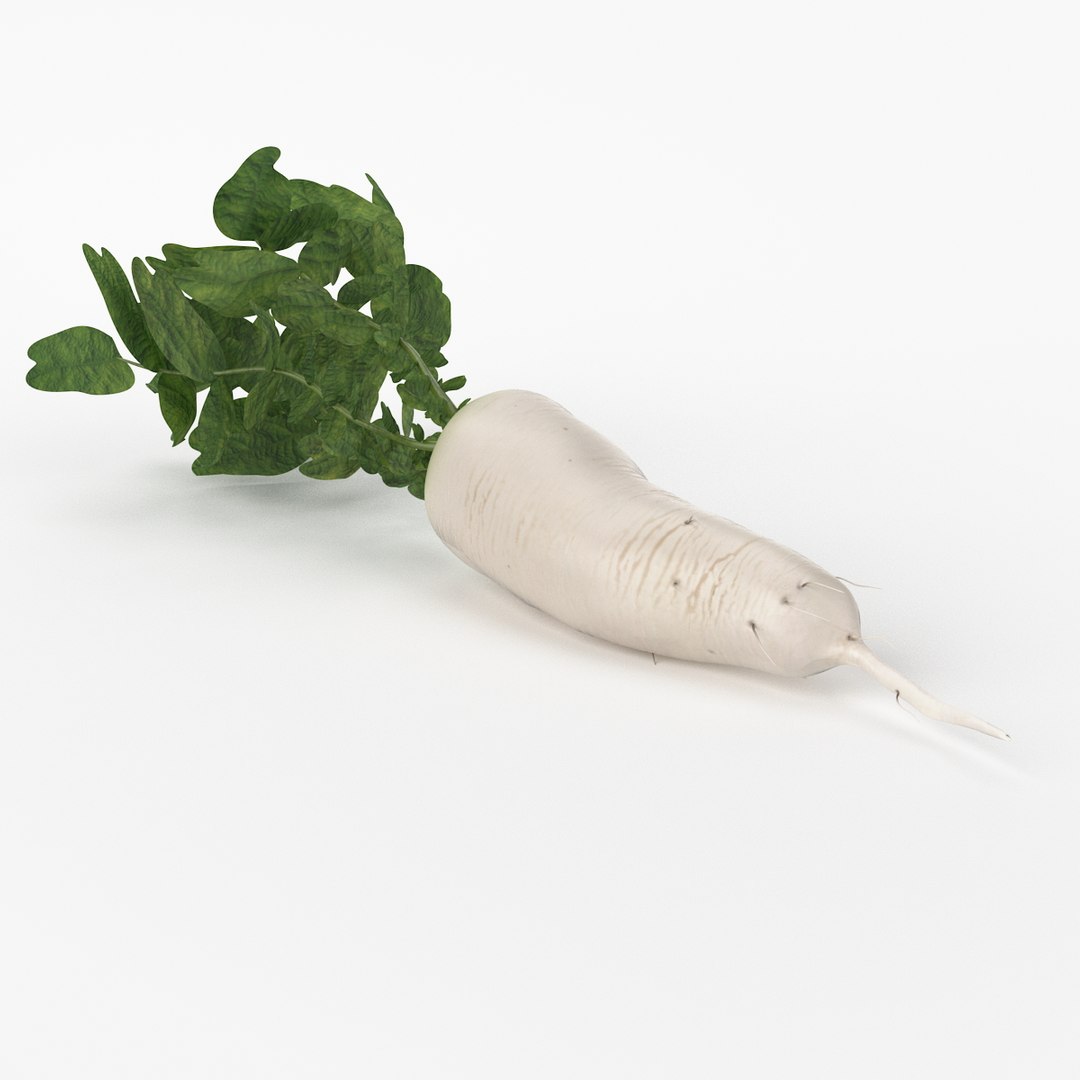 3d Model Realistic White Radish Real