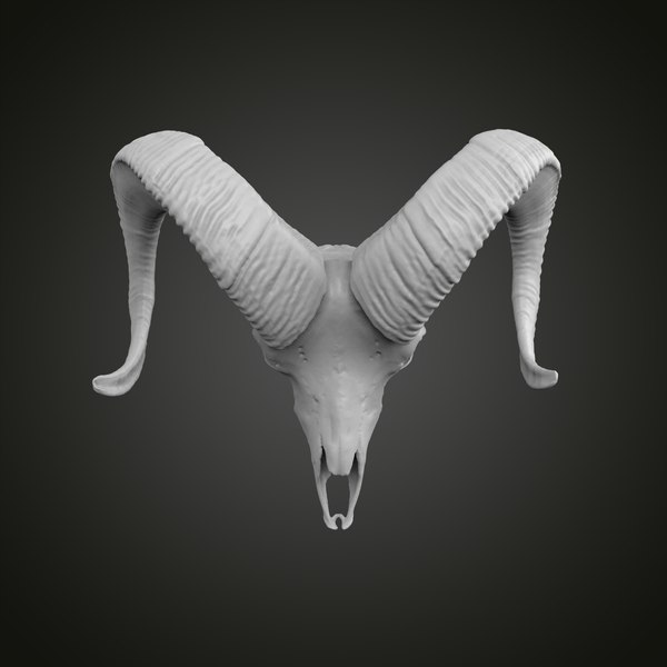 Animal Skull STL Models for Download | TurboSquid