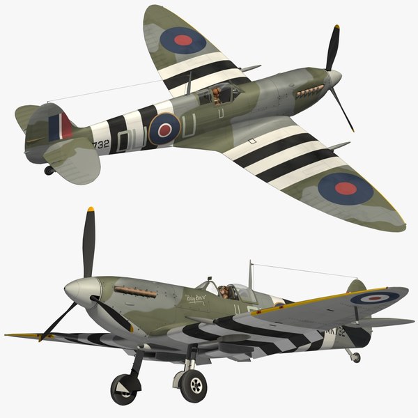 modelo 3d Spitfire Baby Bea V - TurboSquid 2113374