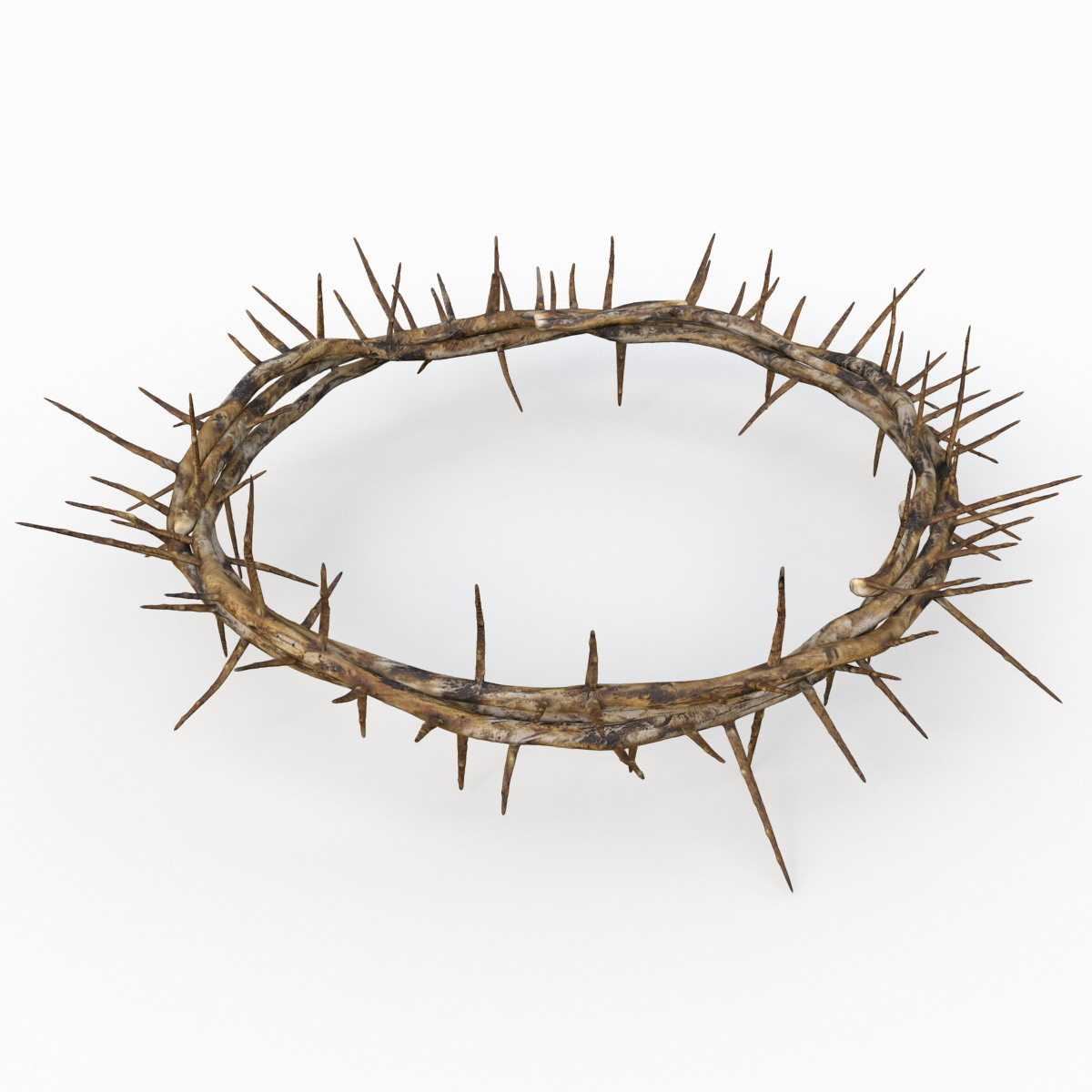 crown thorns 3d model