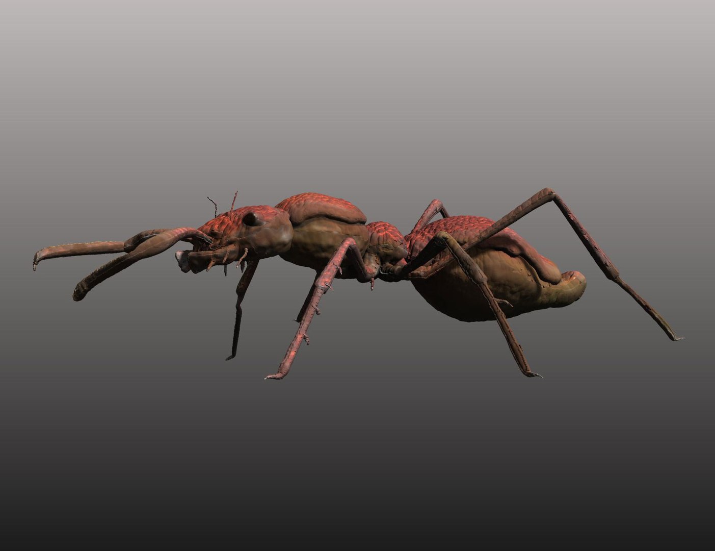 3dcoat ant obj