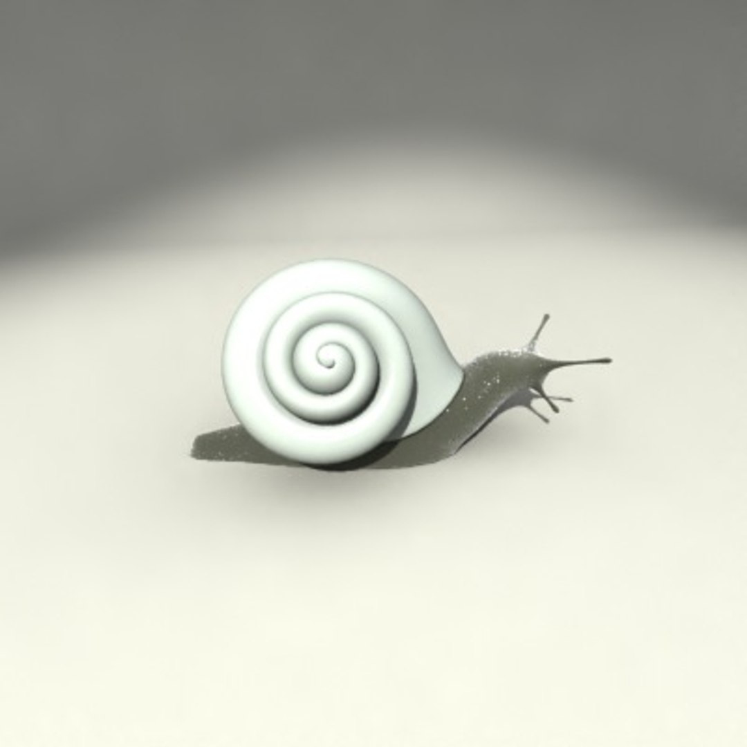 3d Snail Model