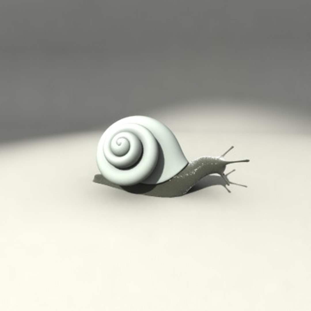 3d Snail Model
