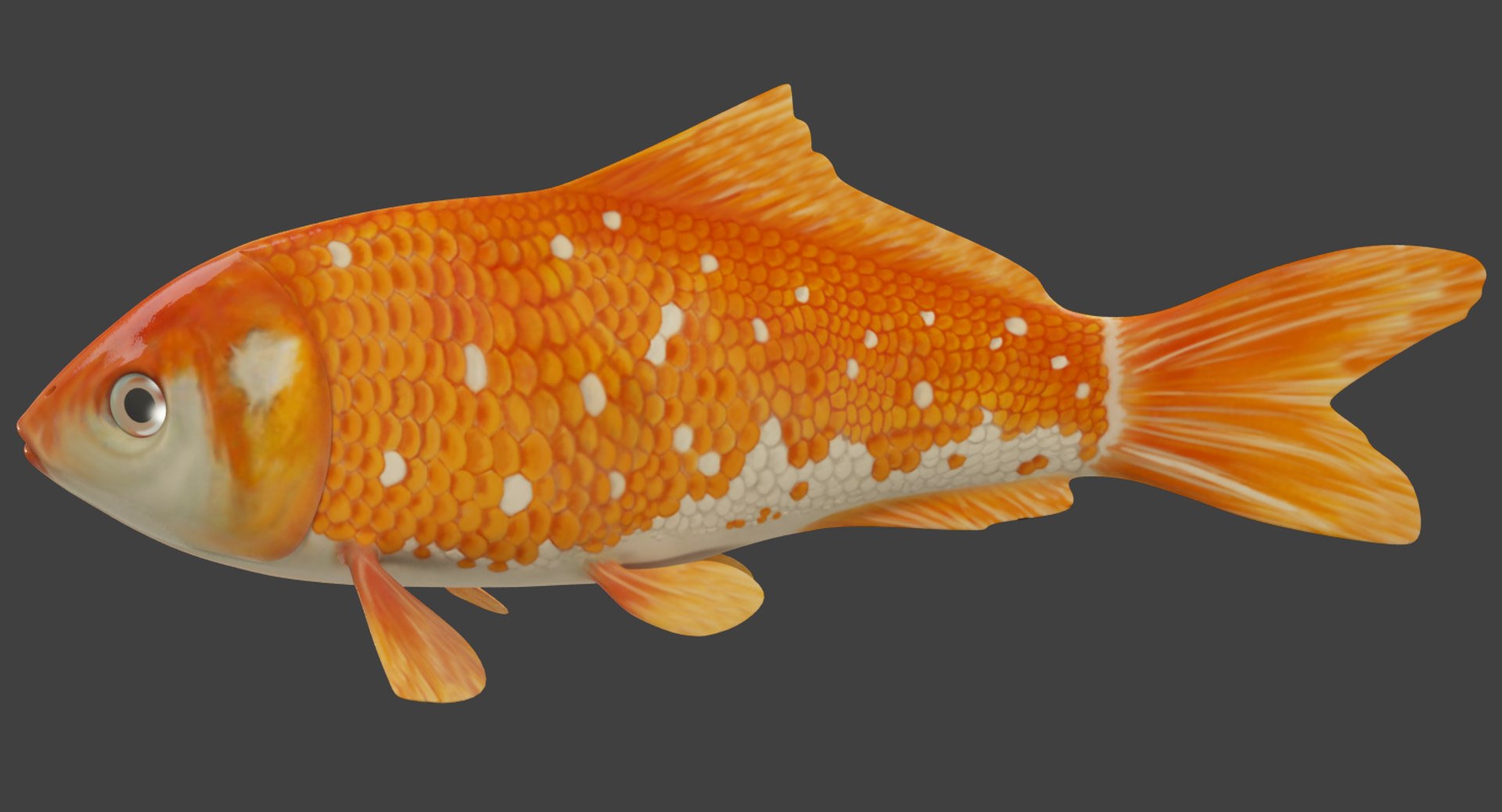 Koi Carp 3d Model