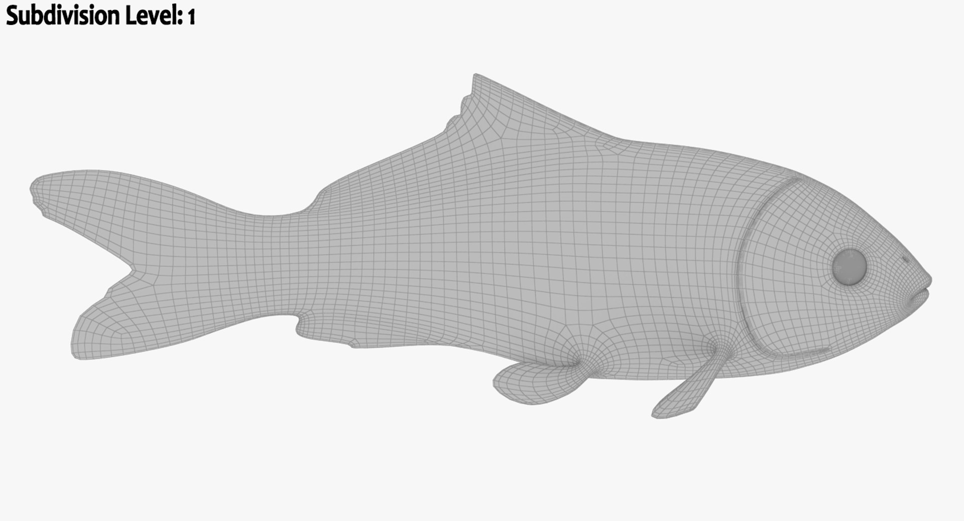 Koi Carp 3d Model