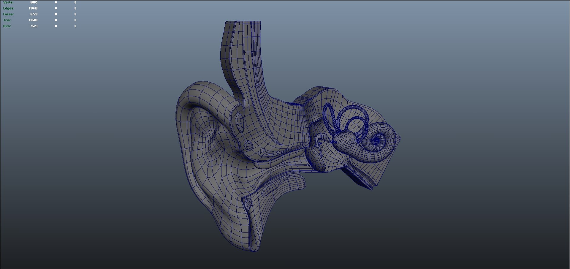 Ear Infection 3D Model - TurboSquid 1264084