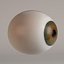 Human Eye 3d Model