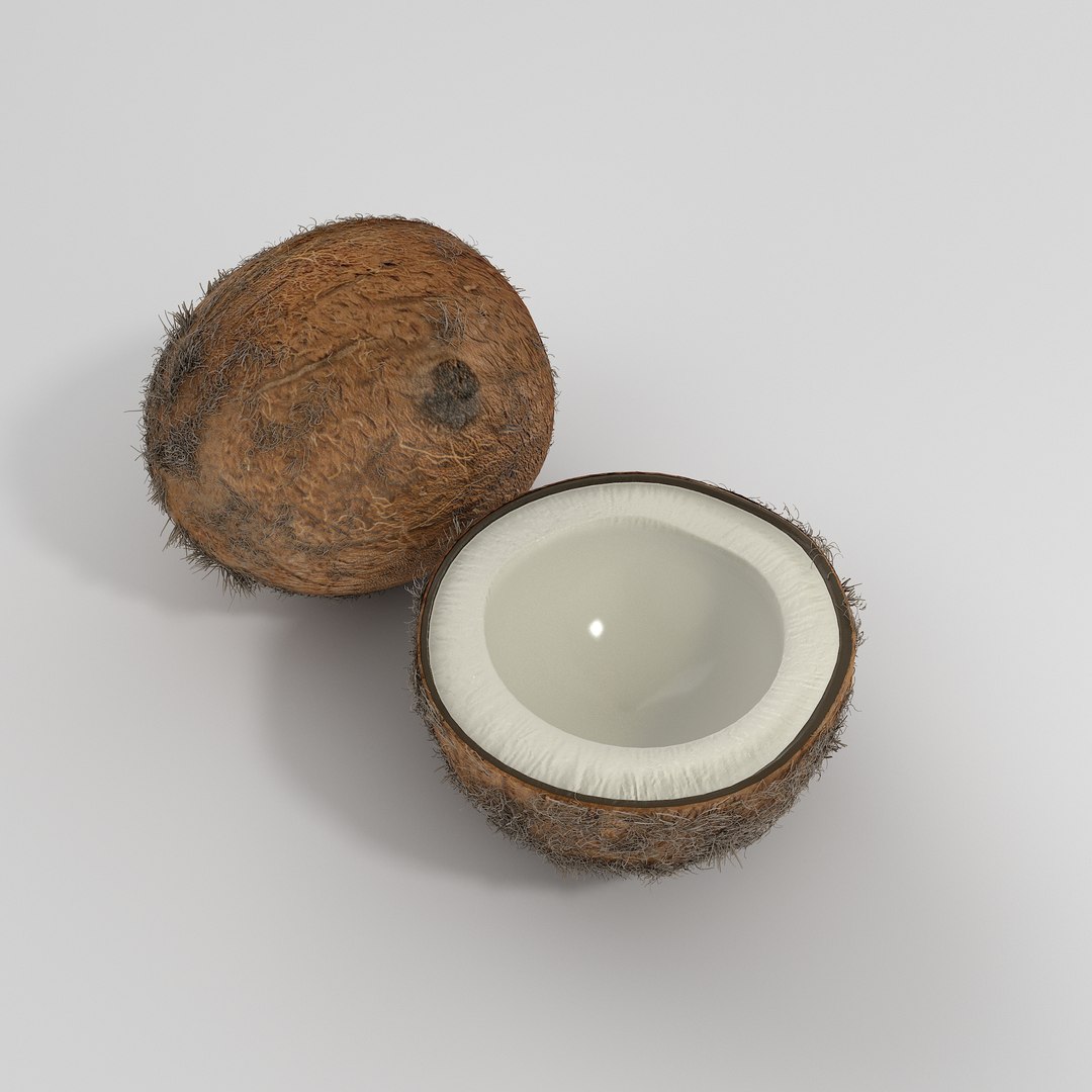 3d model realistic coconut