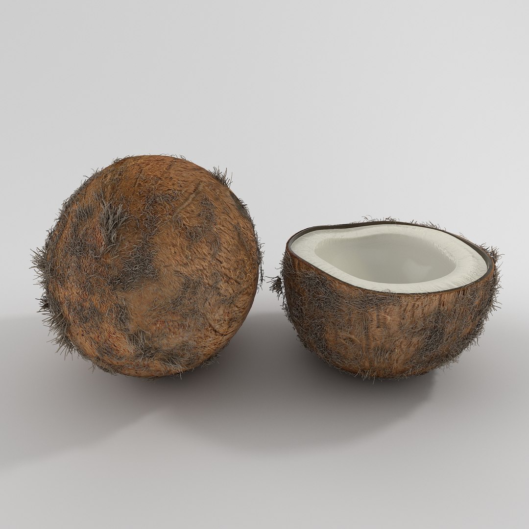 3d model realistic coconut