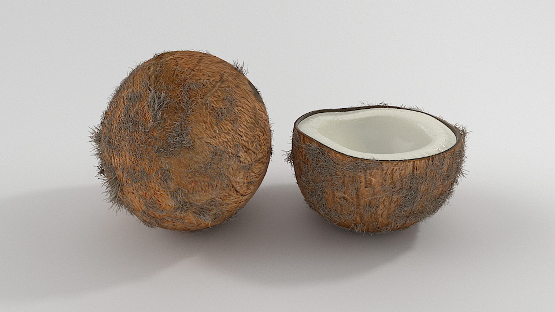 3d model realistic coconut