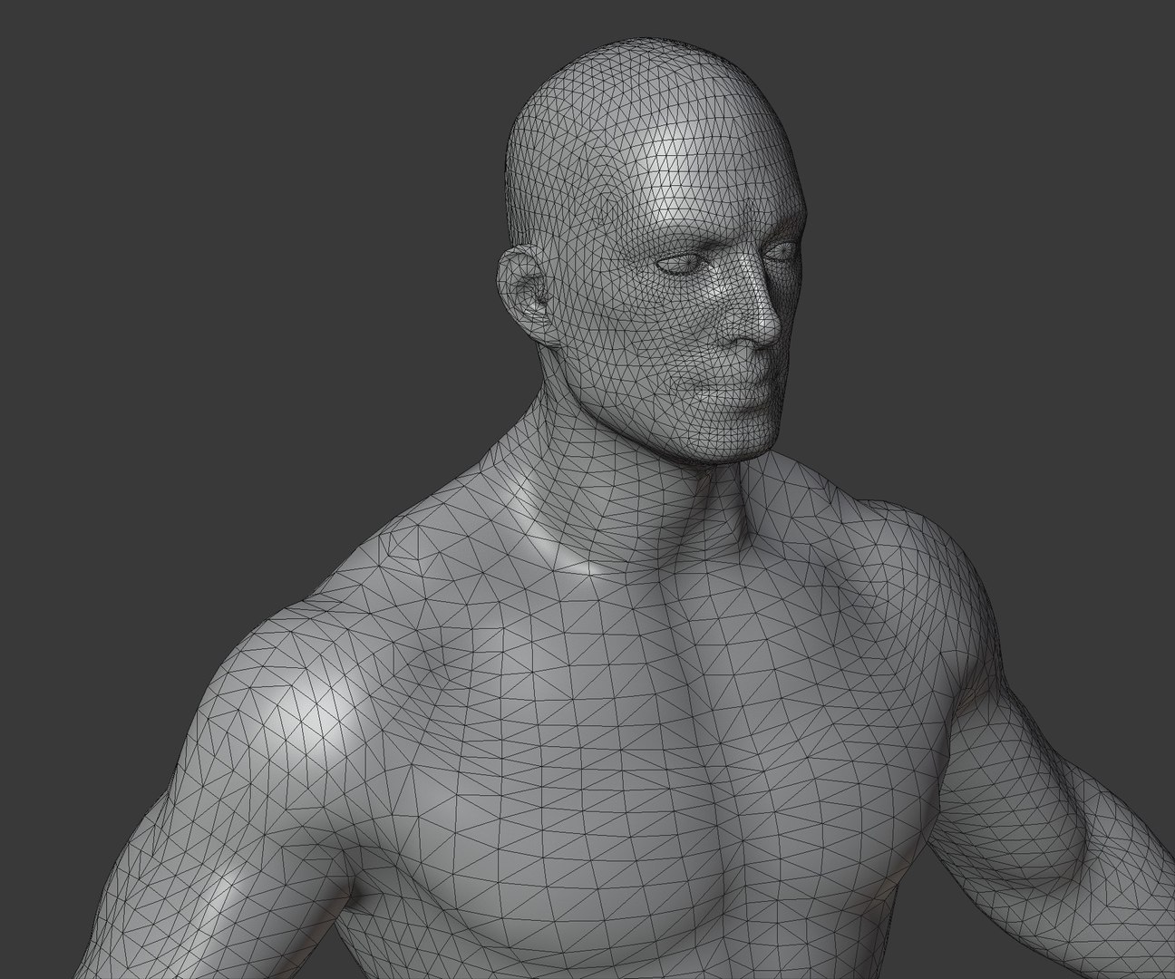 Human Body Base Mesh 10 3D Models Pack 20k Polygons 3D - TurboSquid 1758244