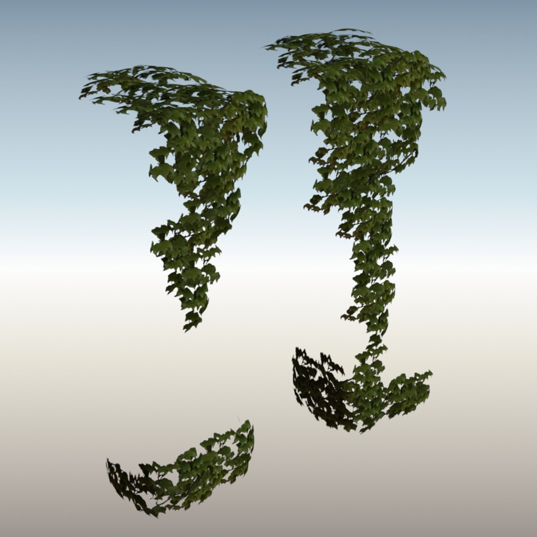 3d model ivy