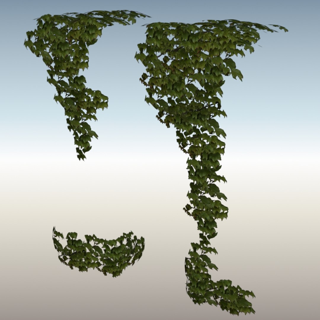 3d model ivy