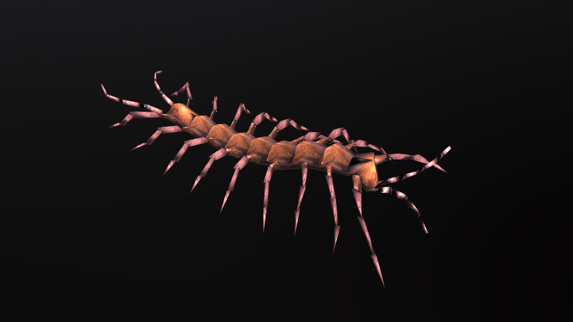Low-poly animated centipede 3D model - TurboSquid 2029289