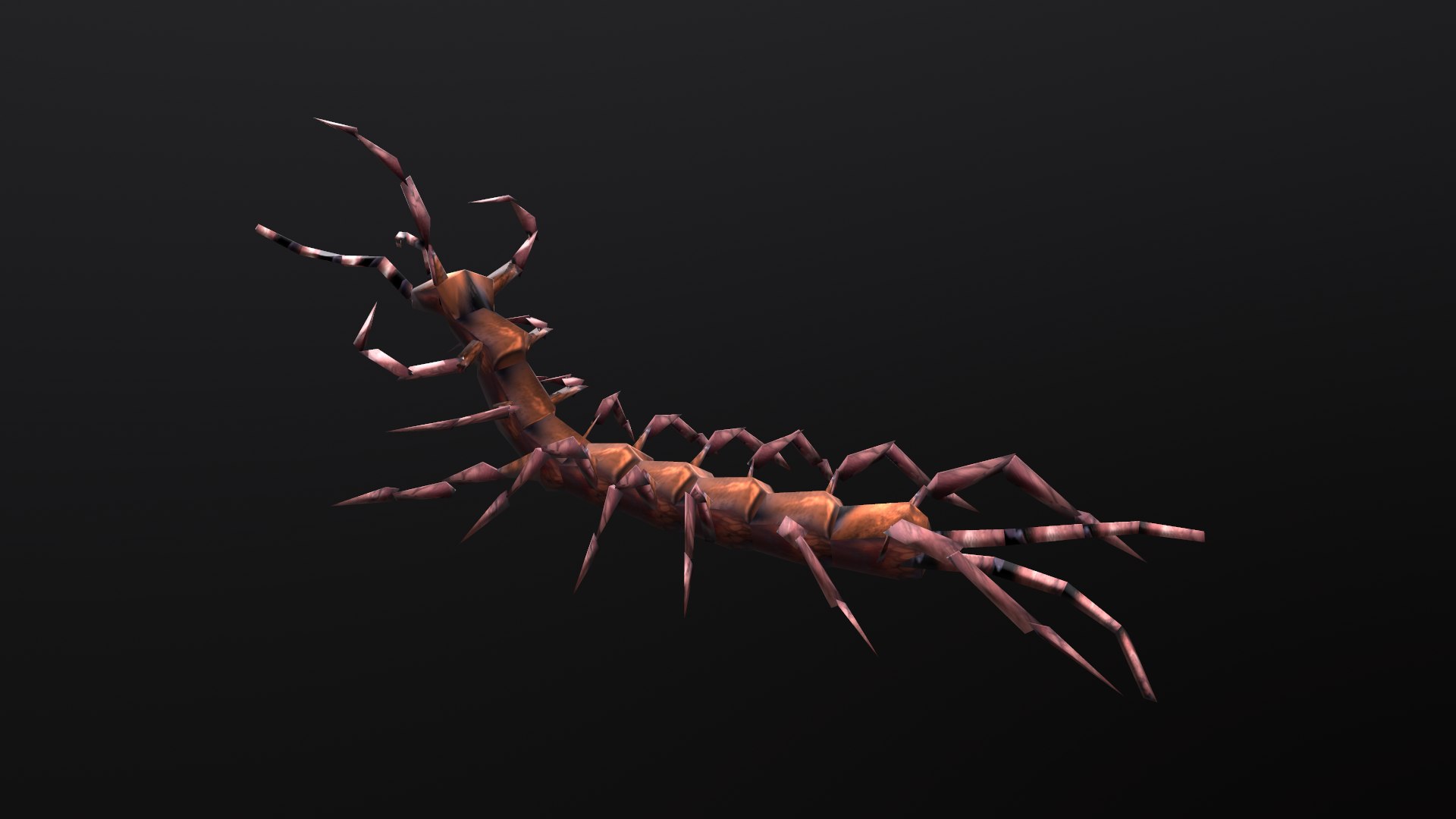 Low-poly animated centipede 3D model - TurboSquid 2029289
