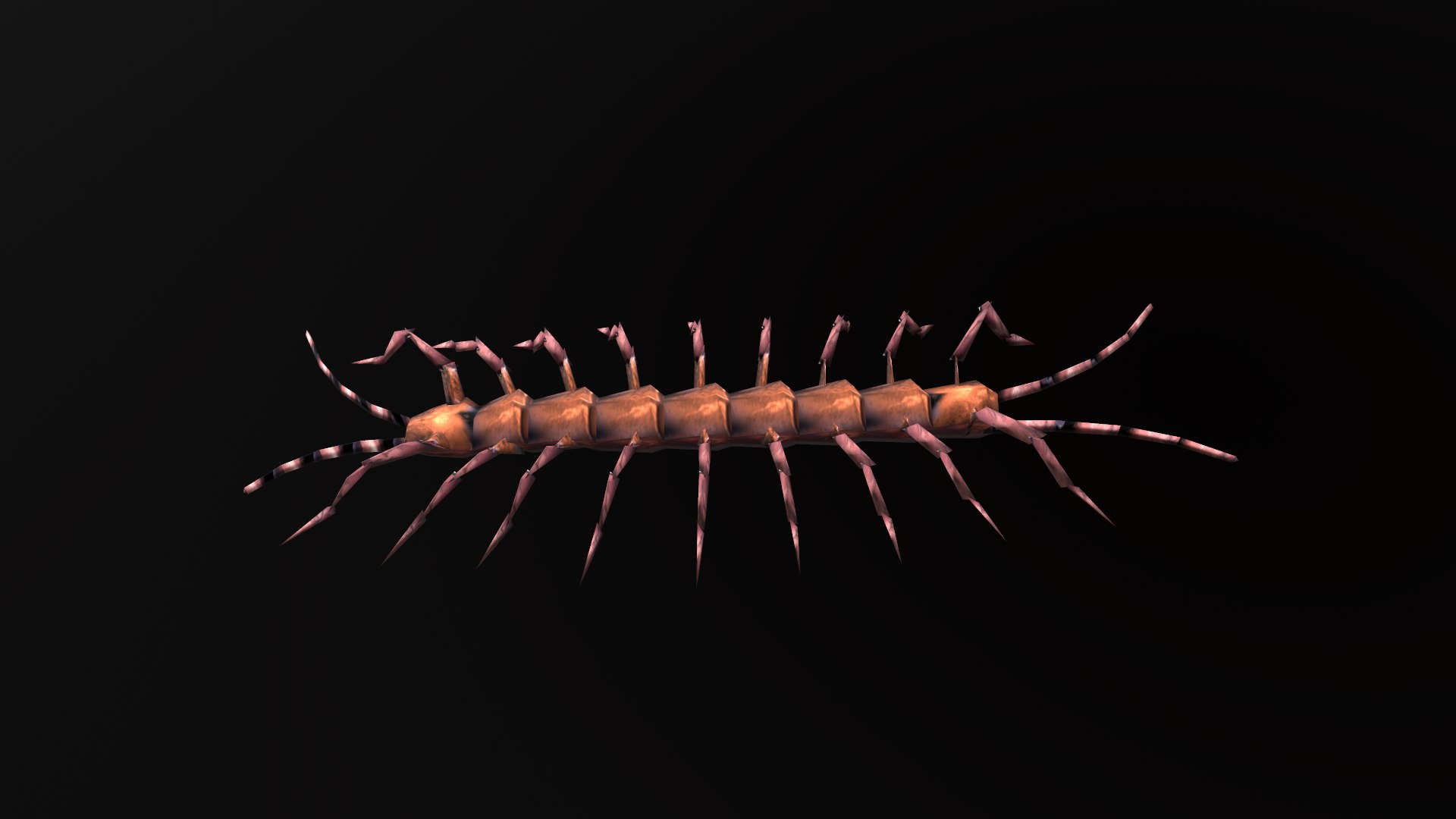 Low-poly animated centipede 3D model - TurboSquid 2029289