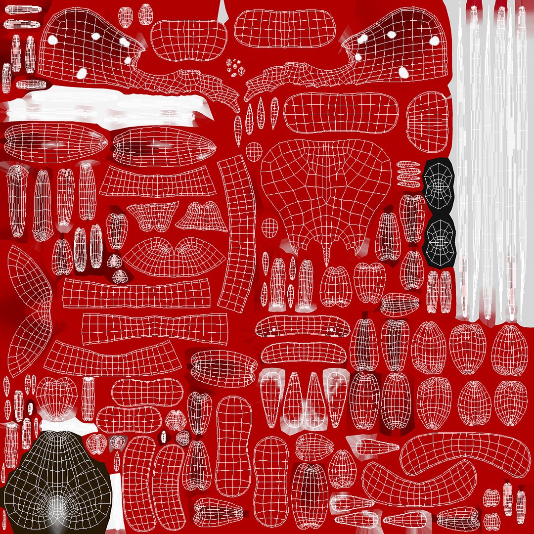 3D Model Scarlet Skunk Cleaner Shrimp Fur - TurboSquid 2050976