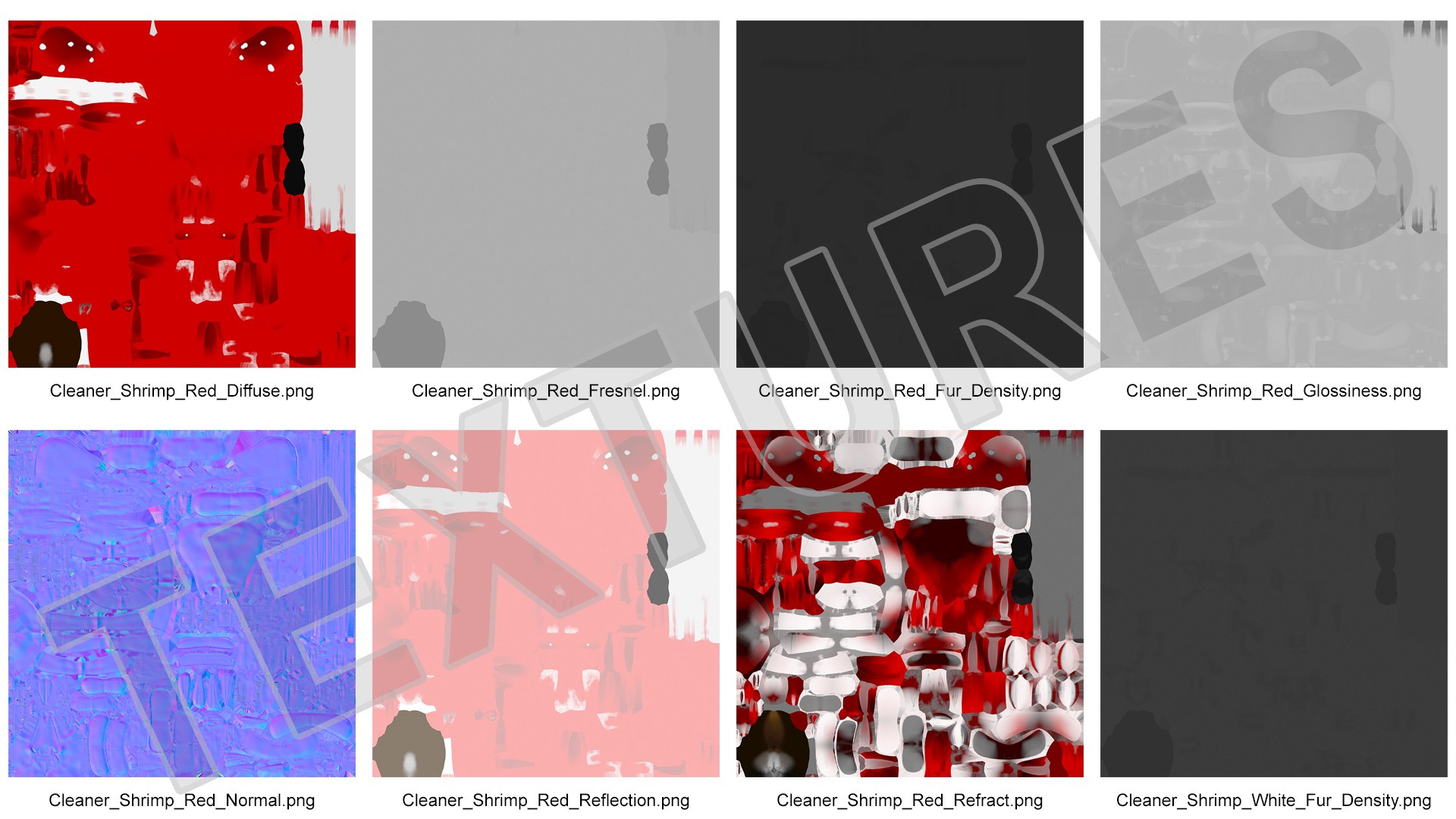 3D Model Scarlet Skunk Cleaner Shrimp Fur - TurboSquid 2050976