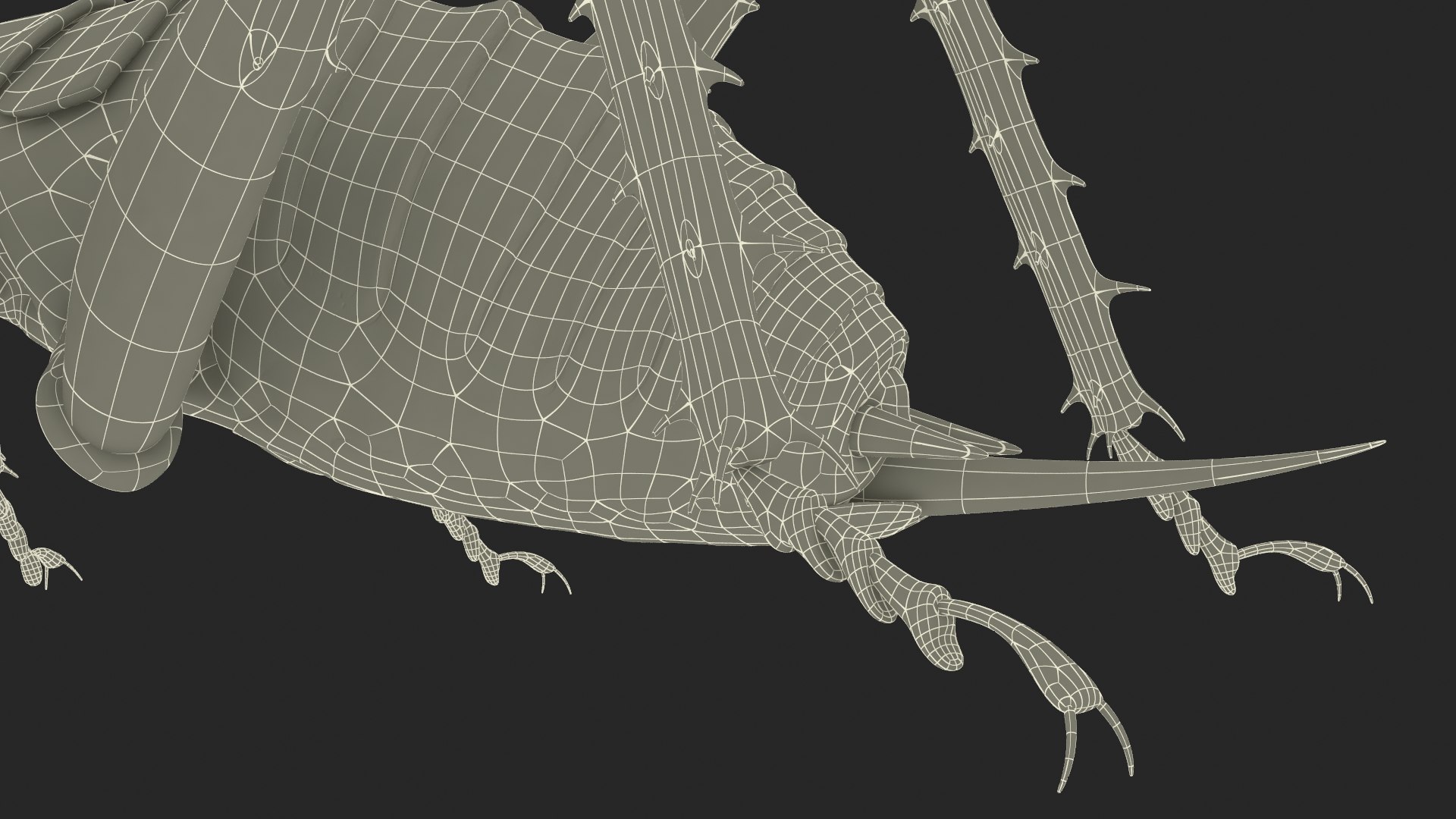 3D Giant Weta Rigged - TurboSquid 2211812