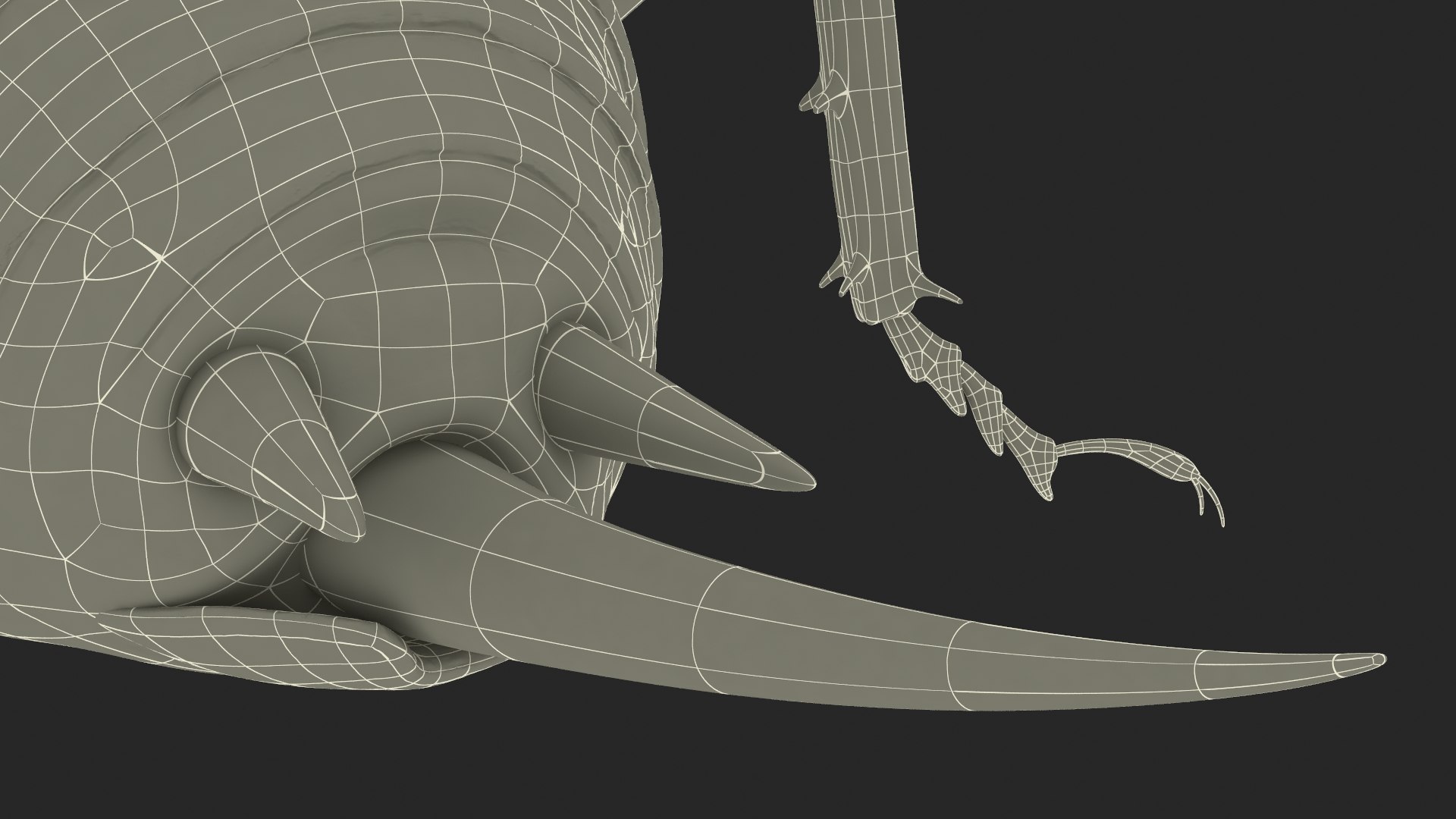 3D Giant Weta Rigged - TurboSquid 2211812