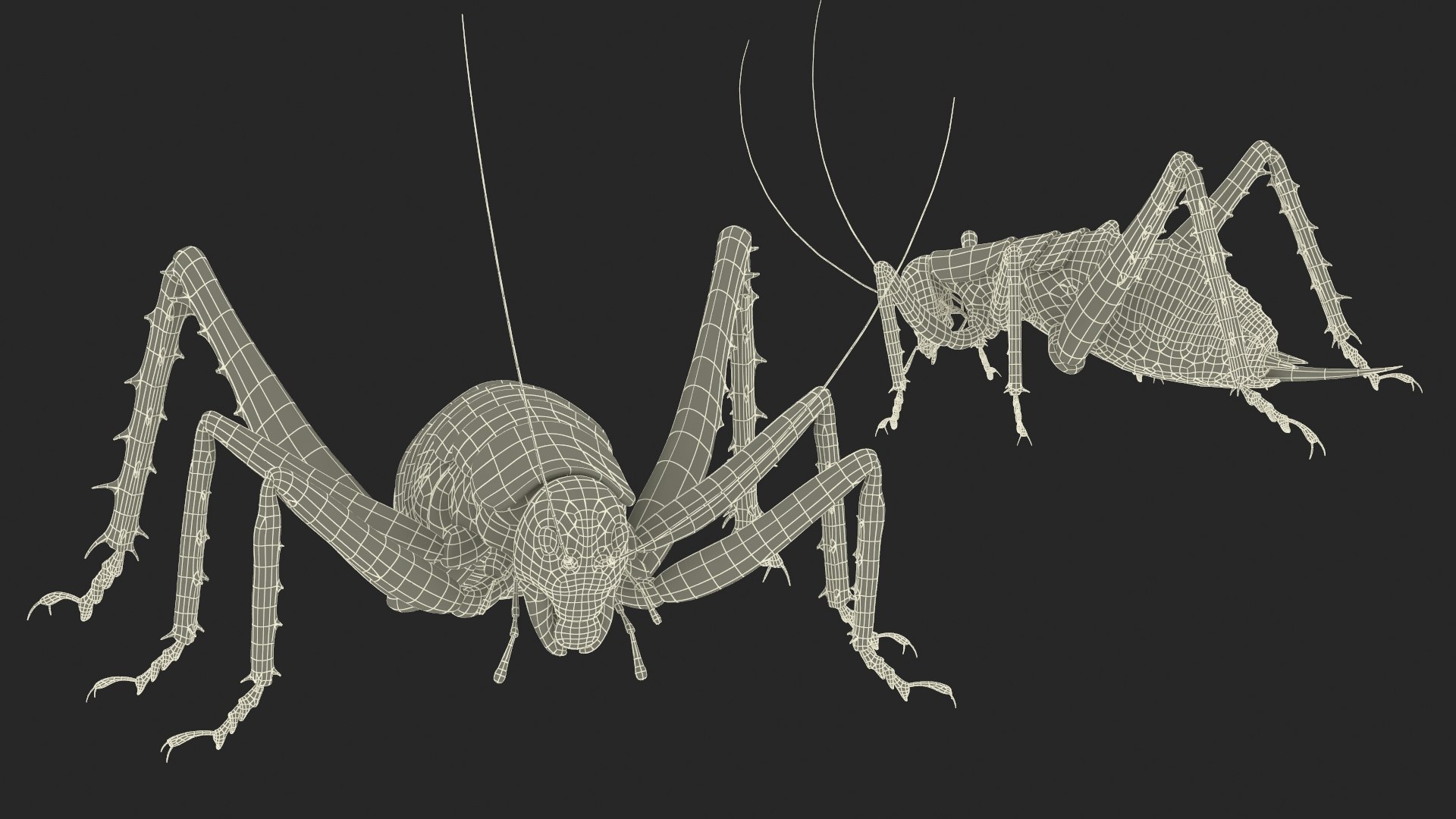 3D Giant Weta Rigged - TurboSquid 2211812