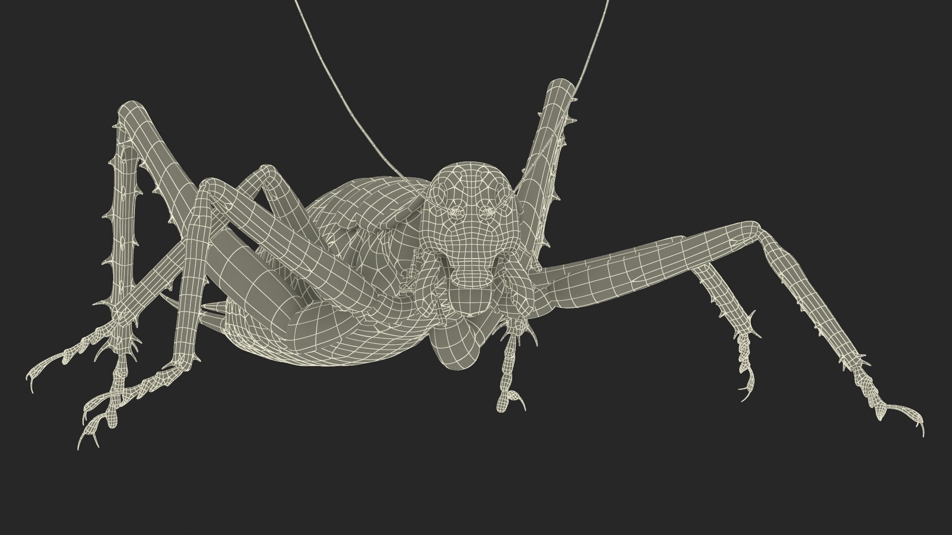 3D Giant Weta Rigged - TurboSquid 2211812