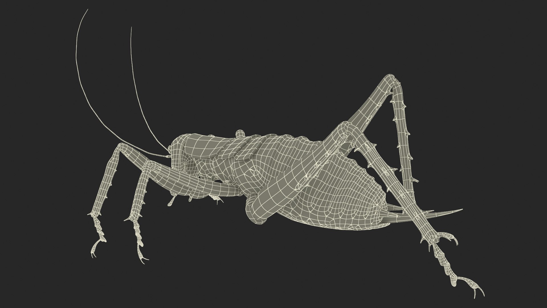 3D Giant Weta Rigged - TurboSquid 2211812