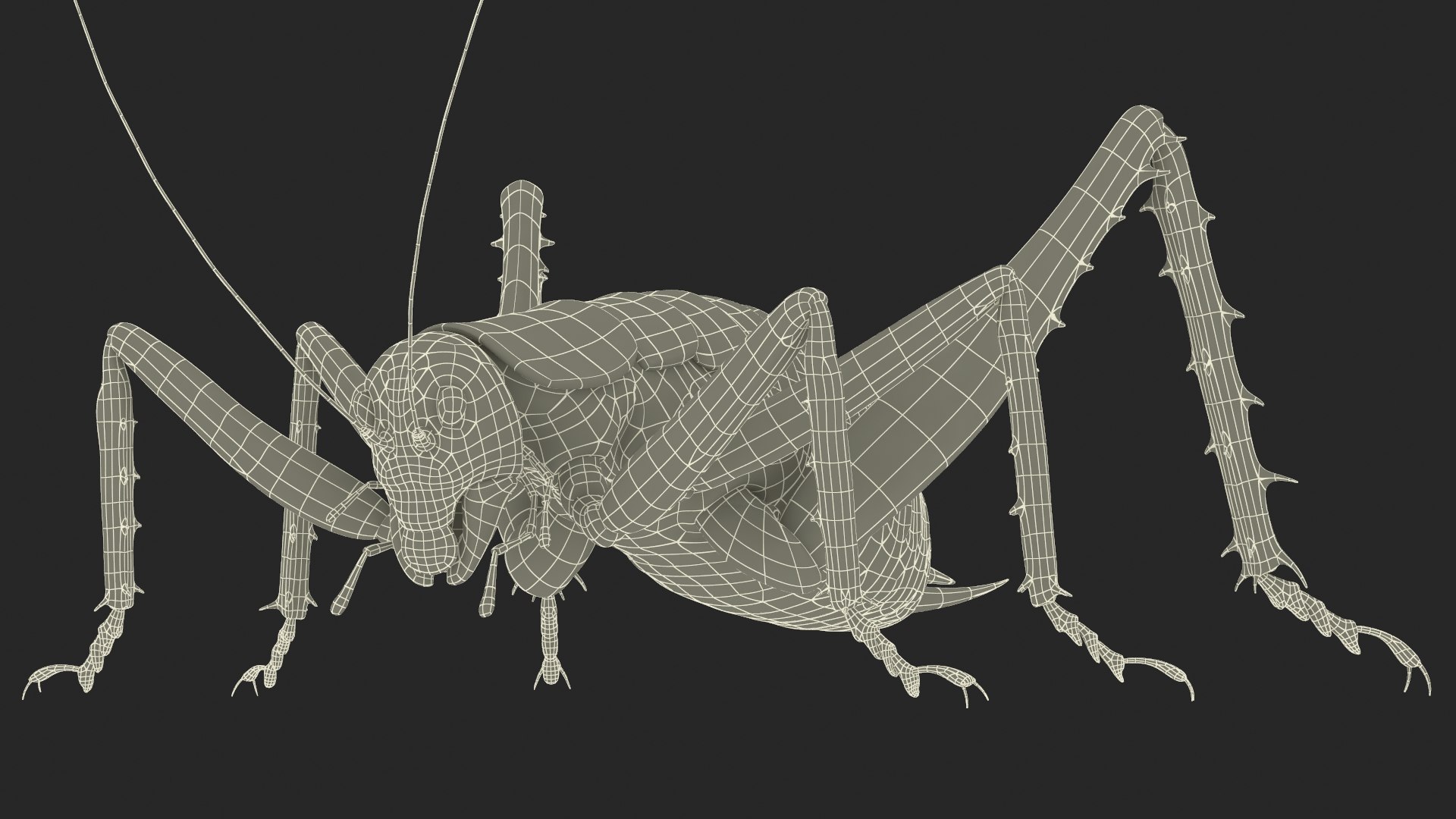 3D Giant Weta Rigged - TurboSquid 2211812