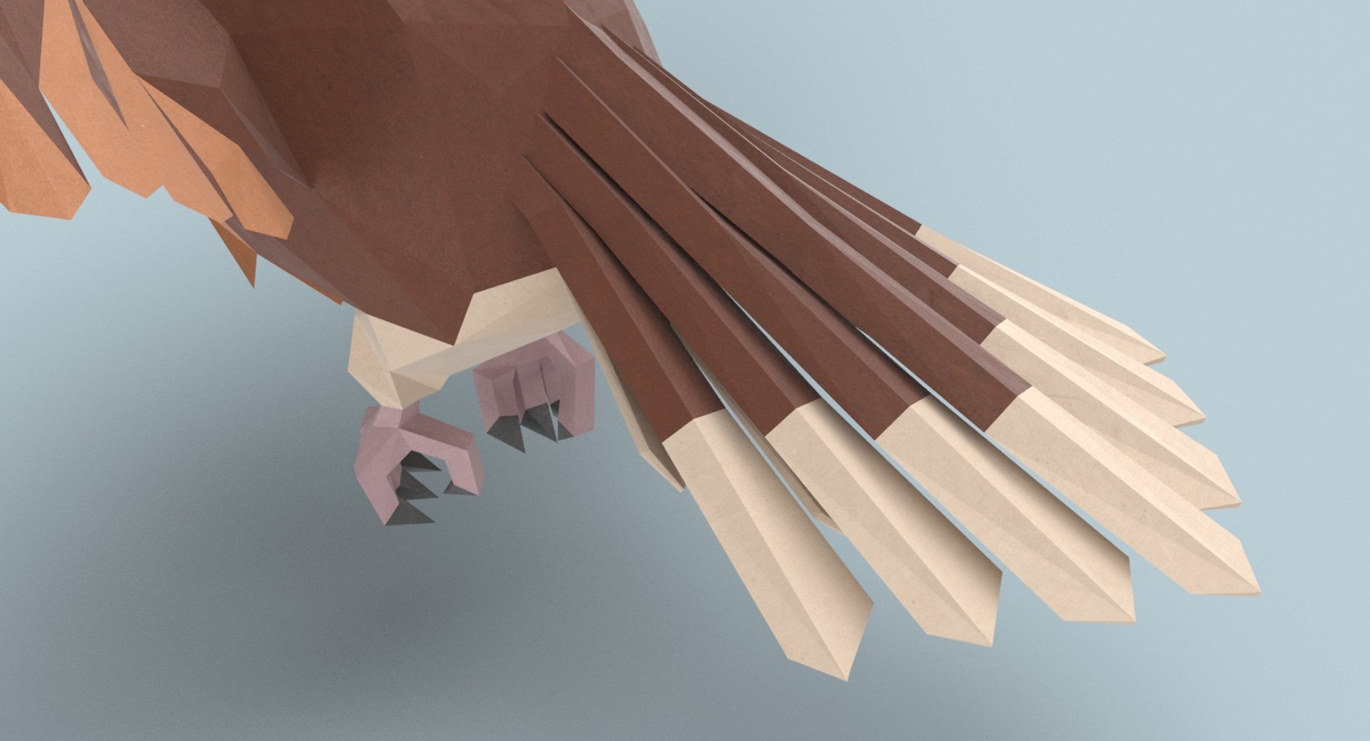 3D Owl---flying-a Model - TurboSquid 1246714