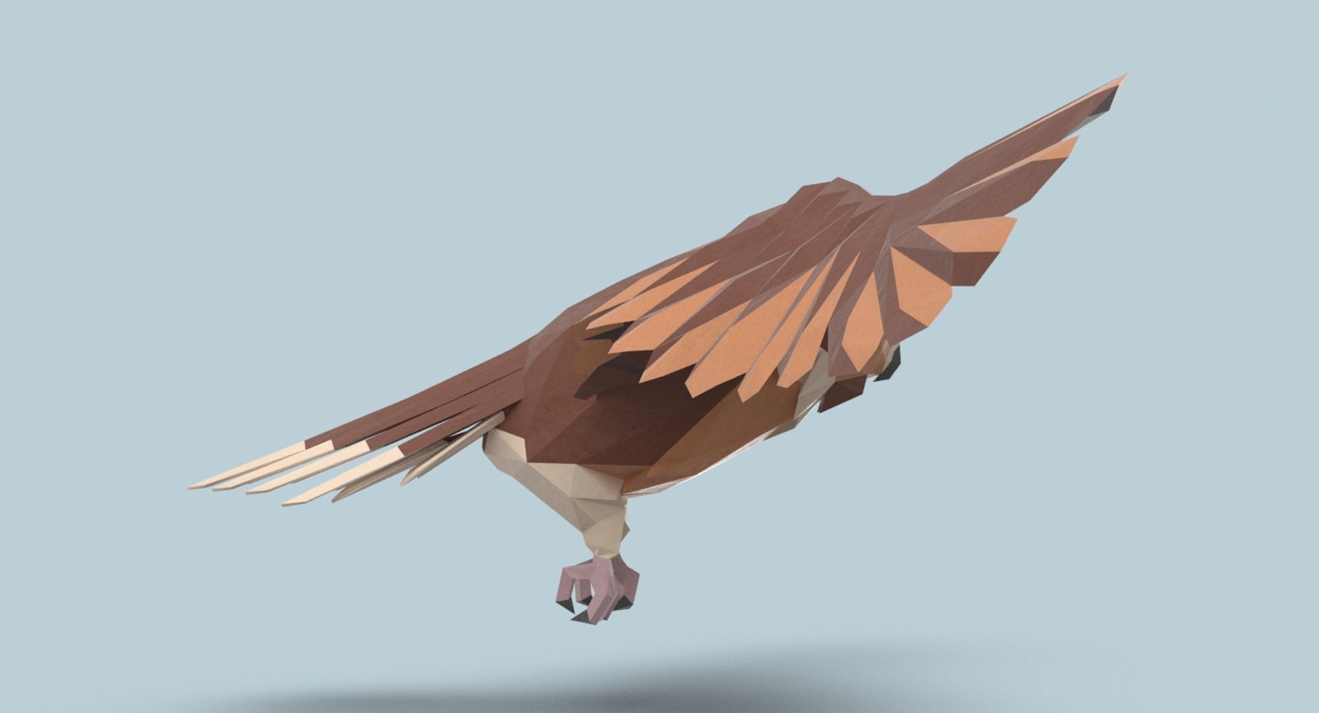 3D Owl---flying-a Model - TurboSquid 1246714