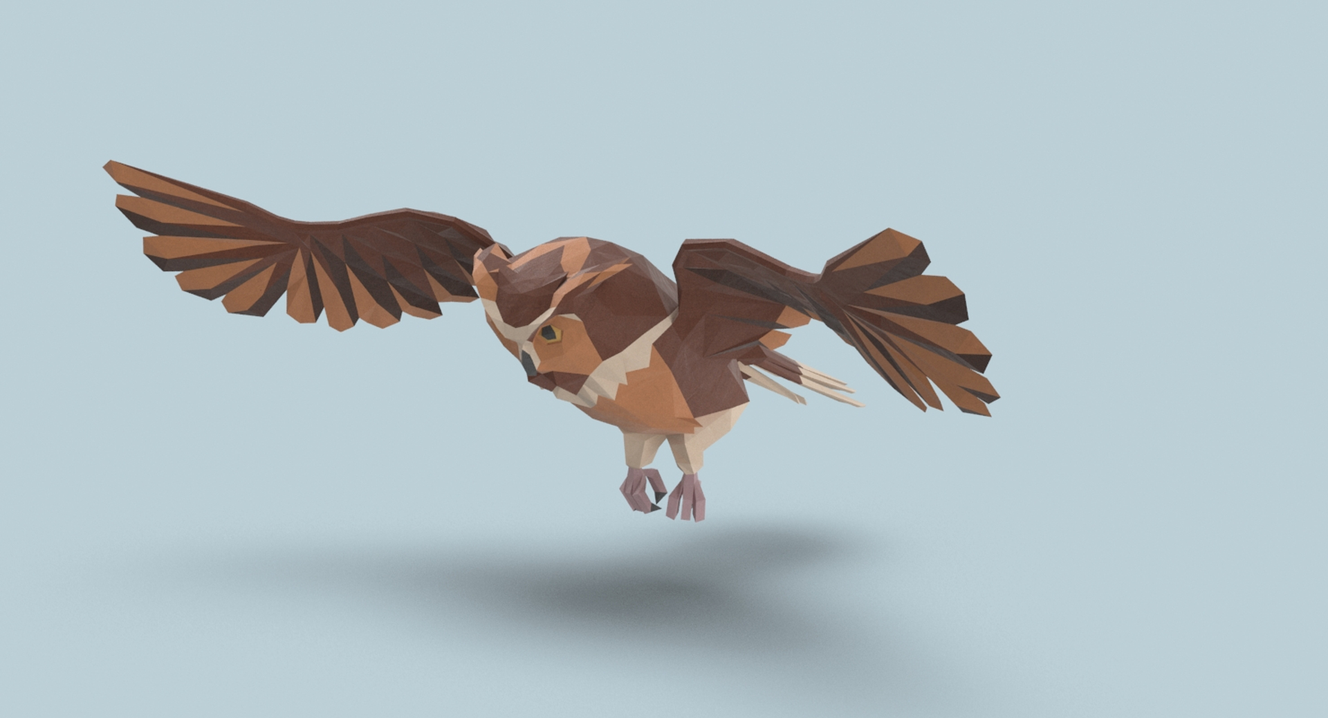 3D Owl---flying-a Model - TurboSquid 1246714