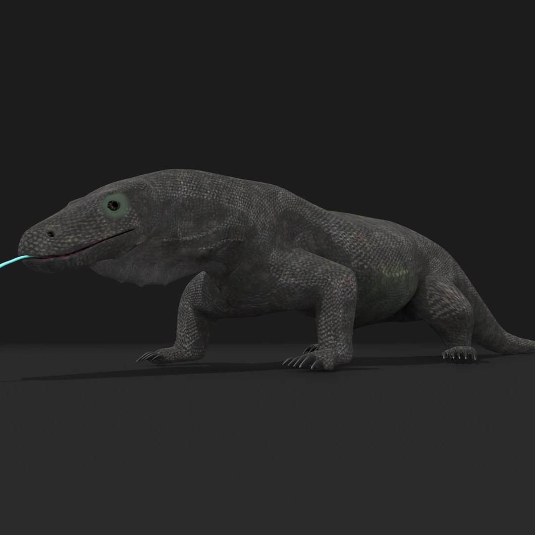 3D Komodo Dragon Model - TurboSquid 1456821