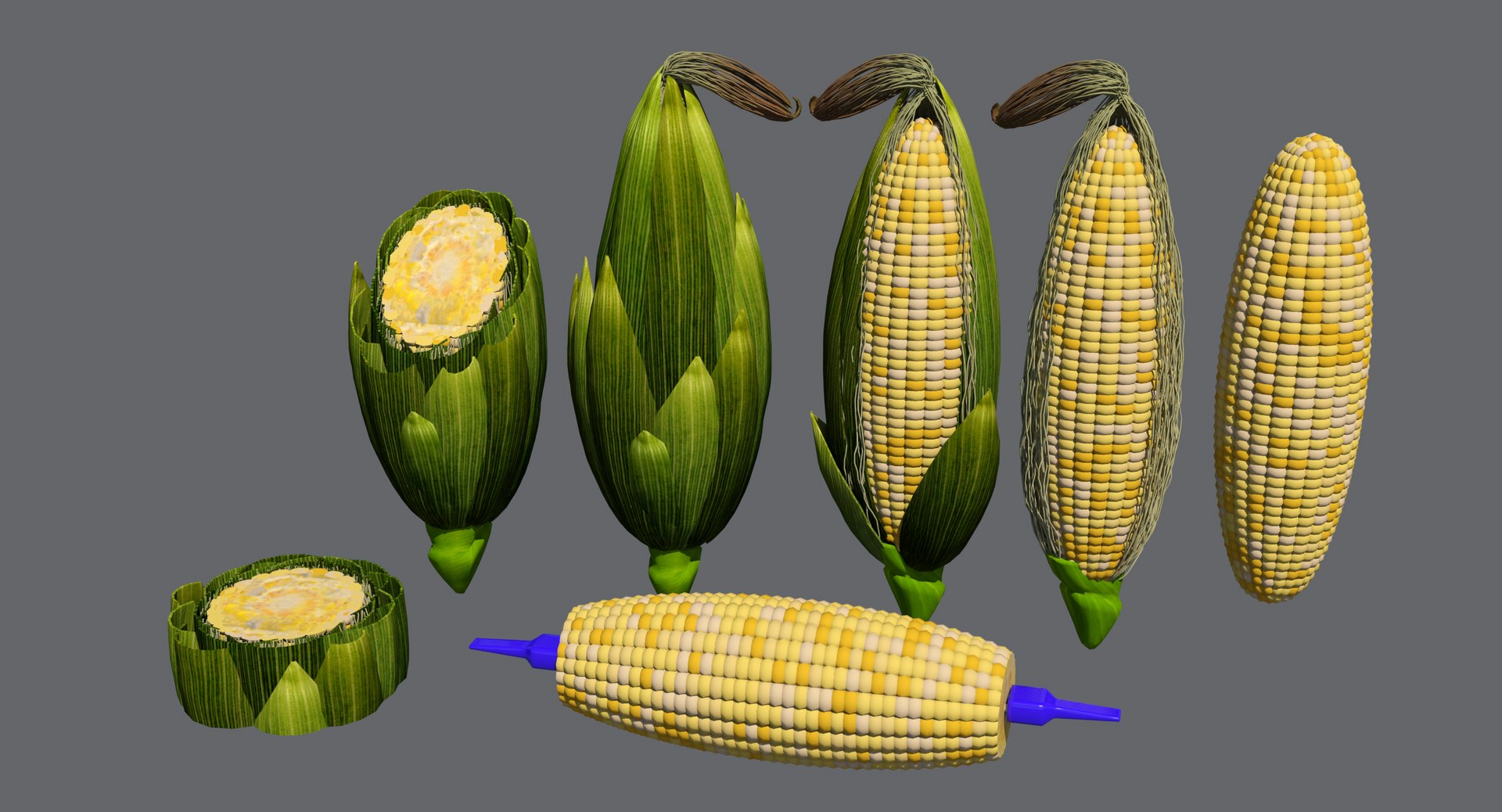 Corn Sliced Cut 3d Model