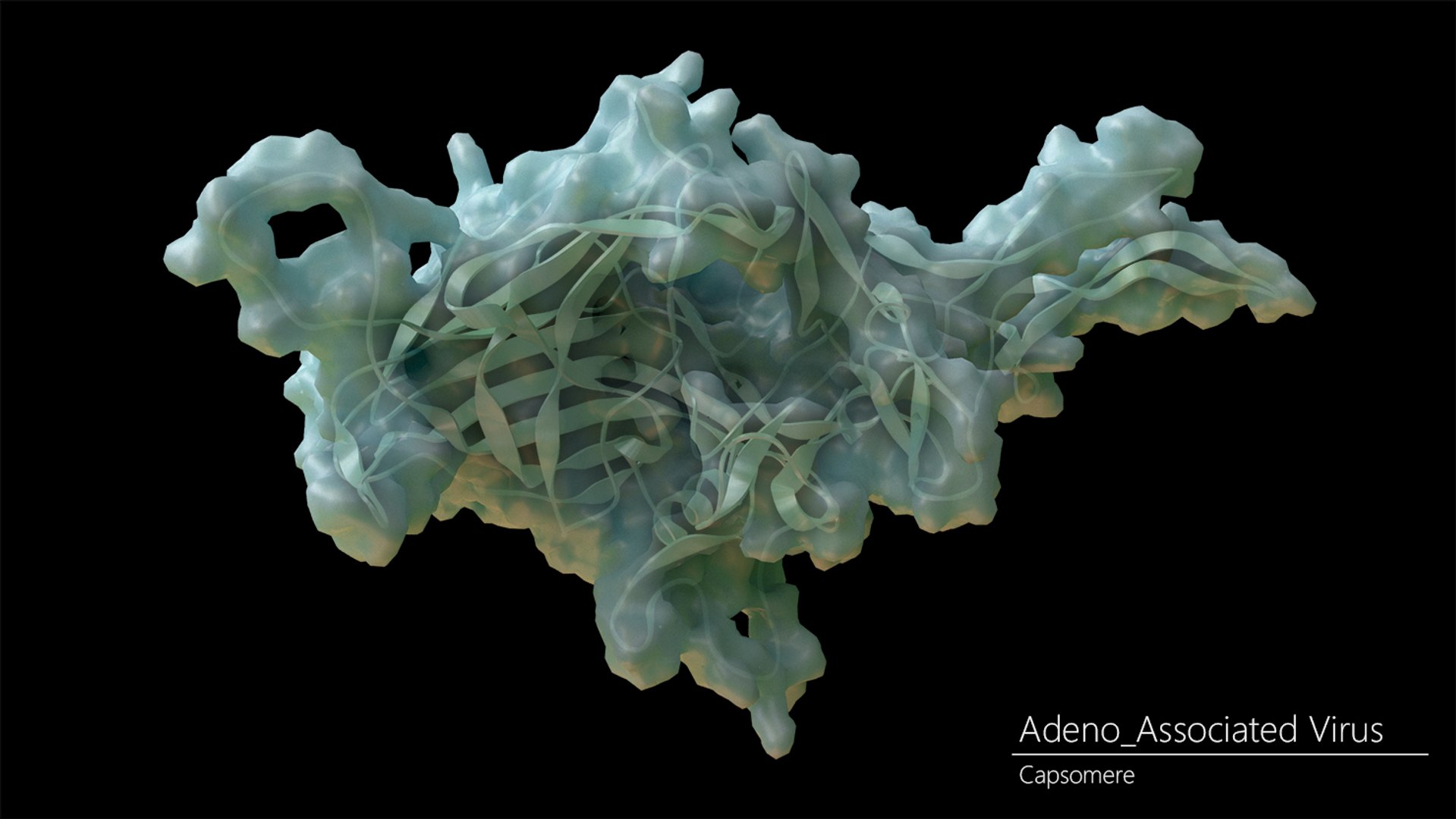 Scientifically Accurate Structure Adeno-associated 3D Model ...
