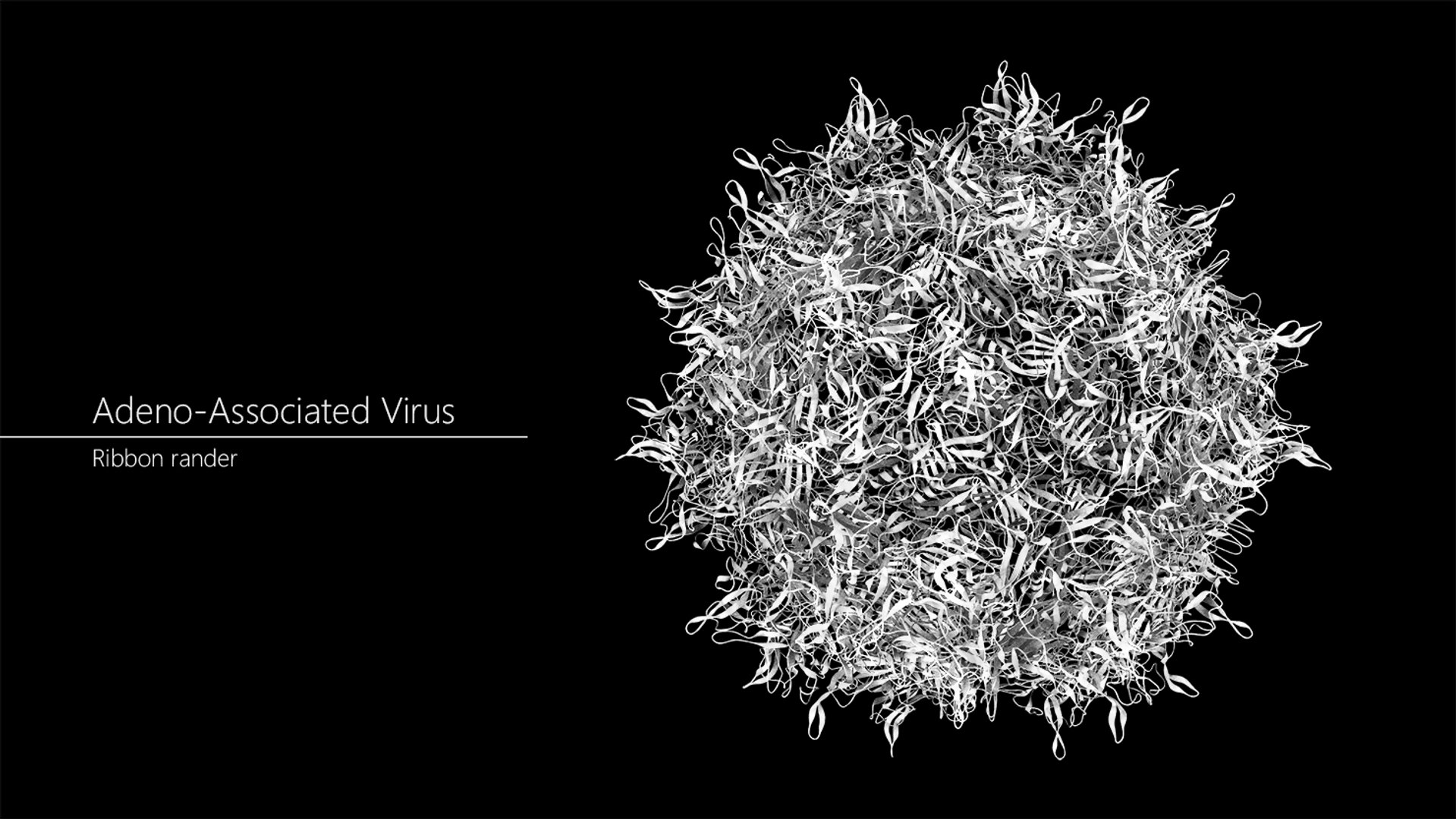 Scientifically Accurate Structure Adeno-associated 3D Model ...