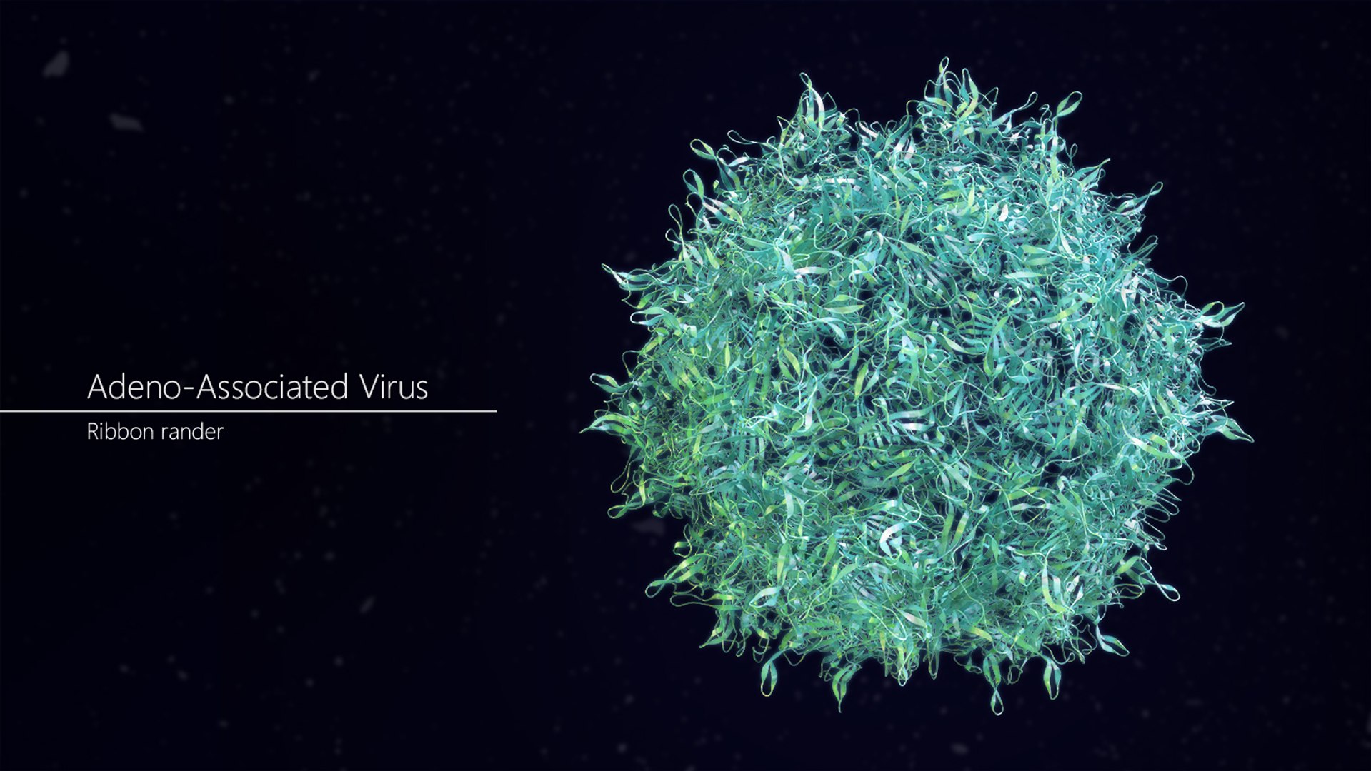 Scientifically Accurate Structure Adeno-associated 3D Model ...