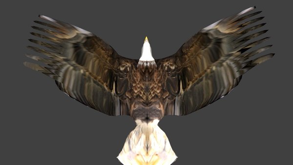 Free 3D Eagle Models | TurboSquid