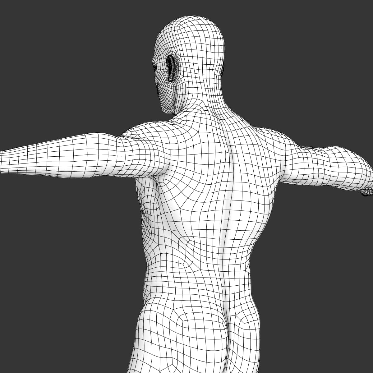 3d model realistic human male body