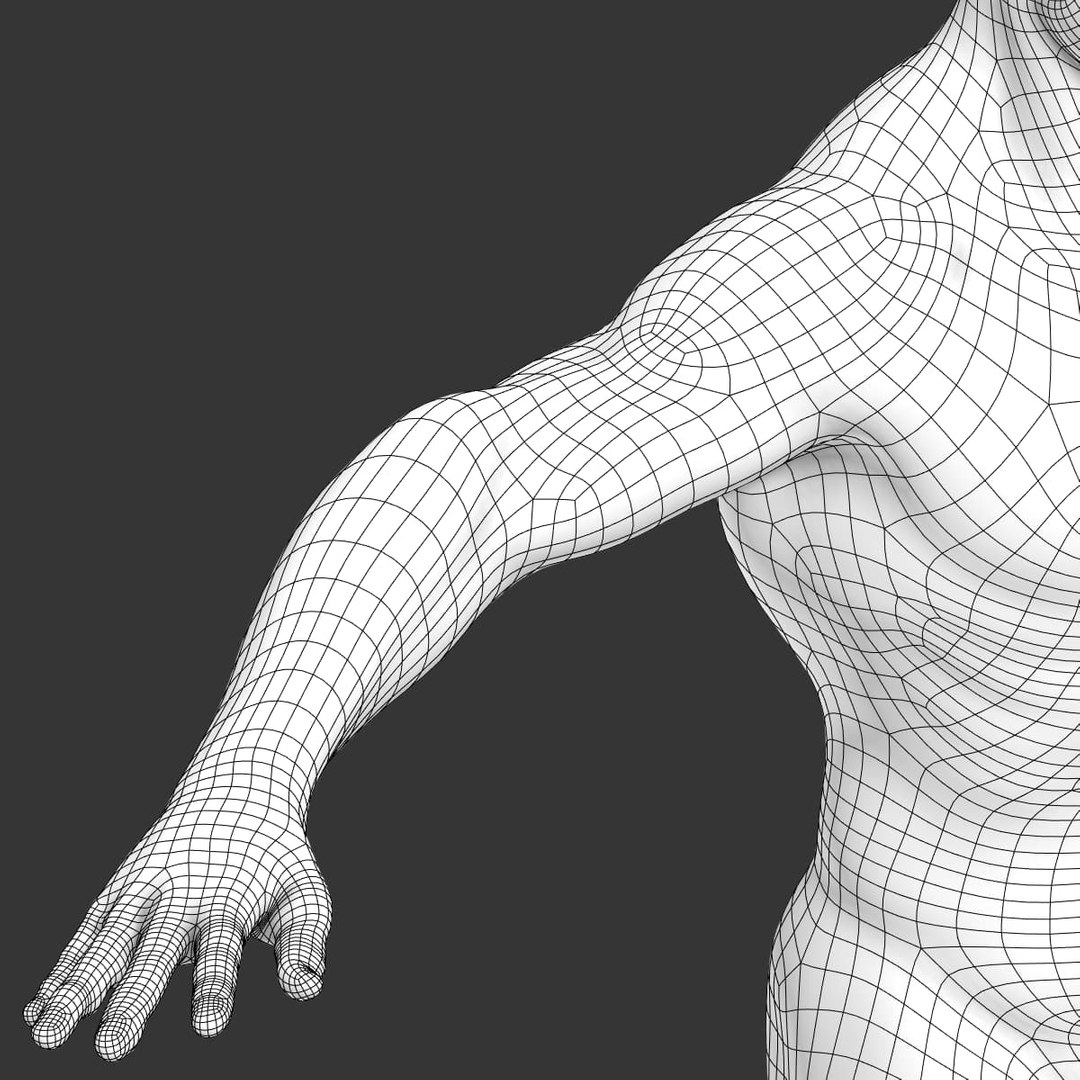 3d model realistic human male body