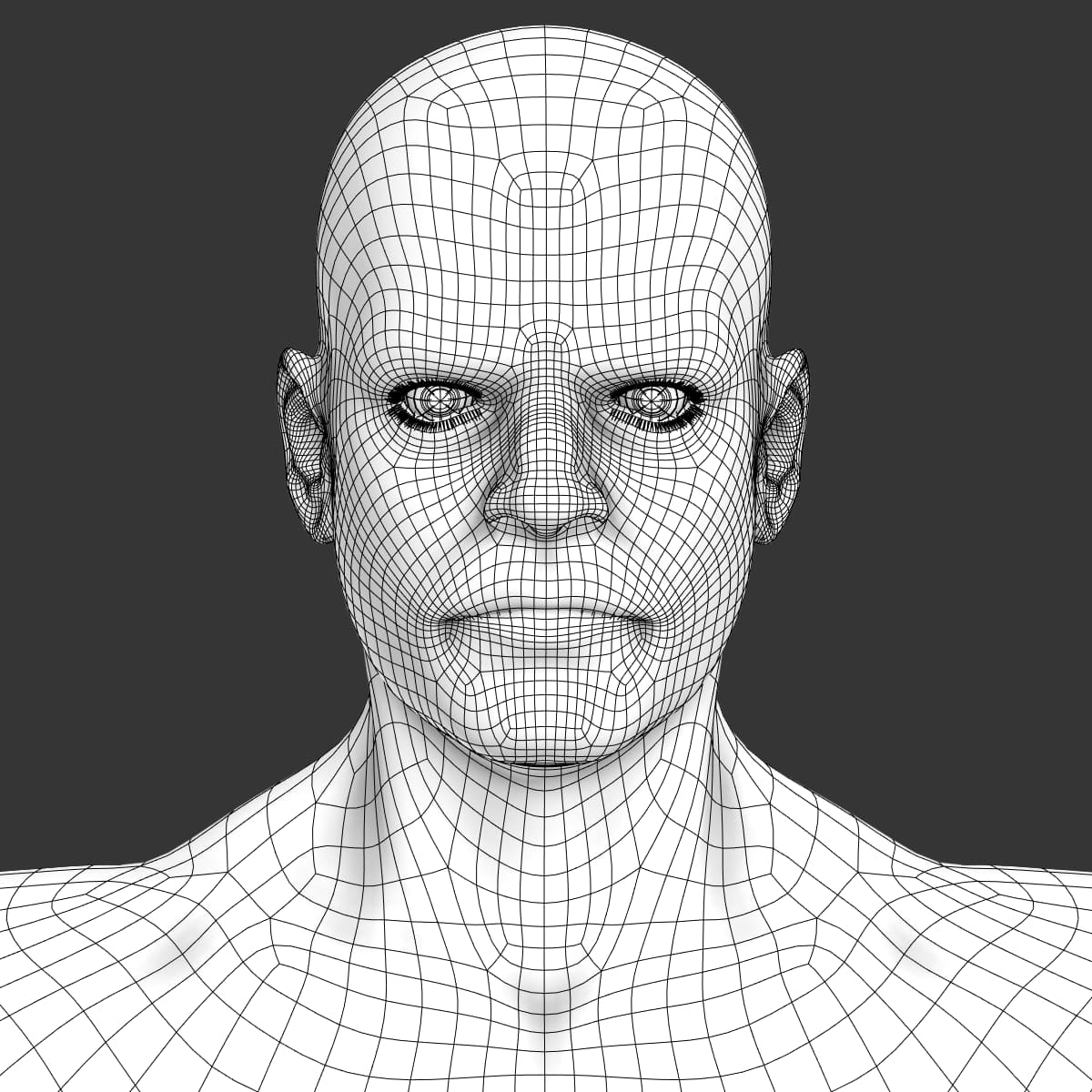 3d model realistic human male body