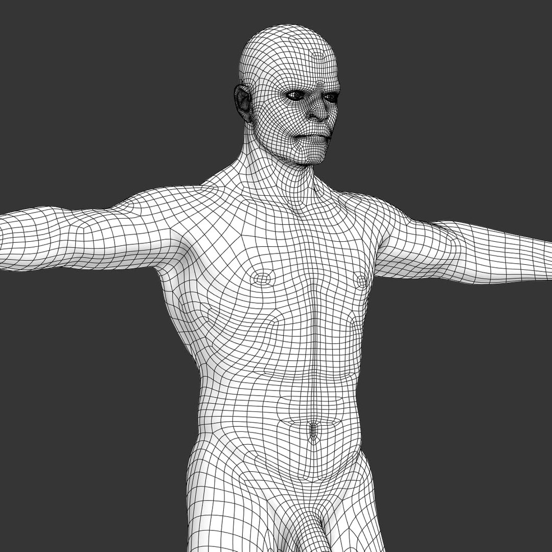 3d model realistic human male body