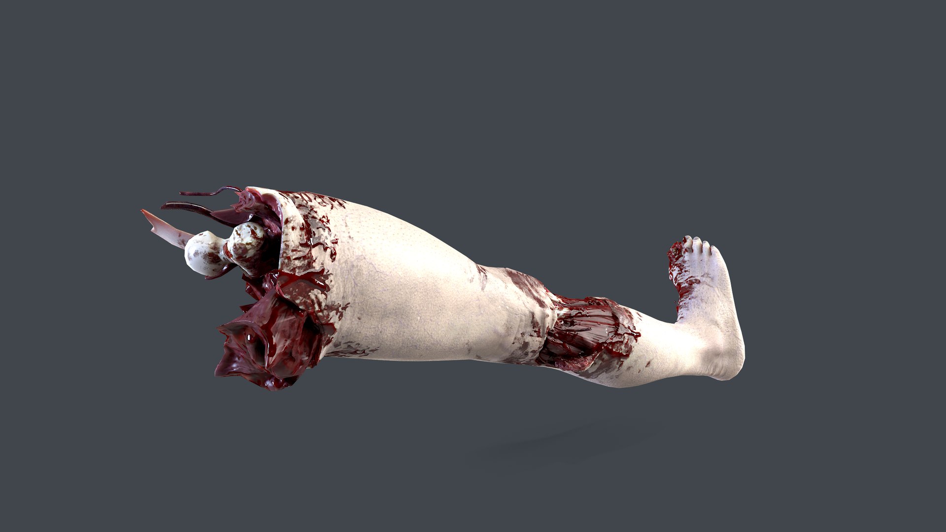 3D Severed Foot 4 Model - TurboSquid 1930610