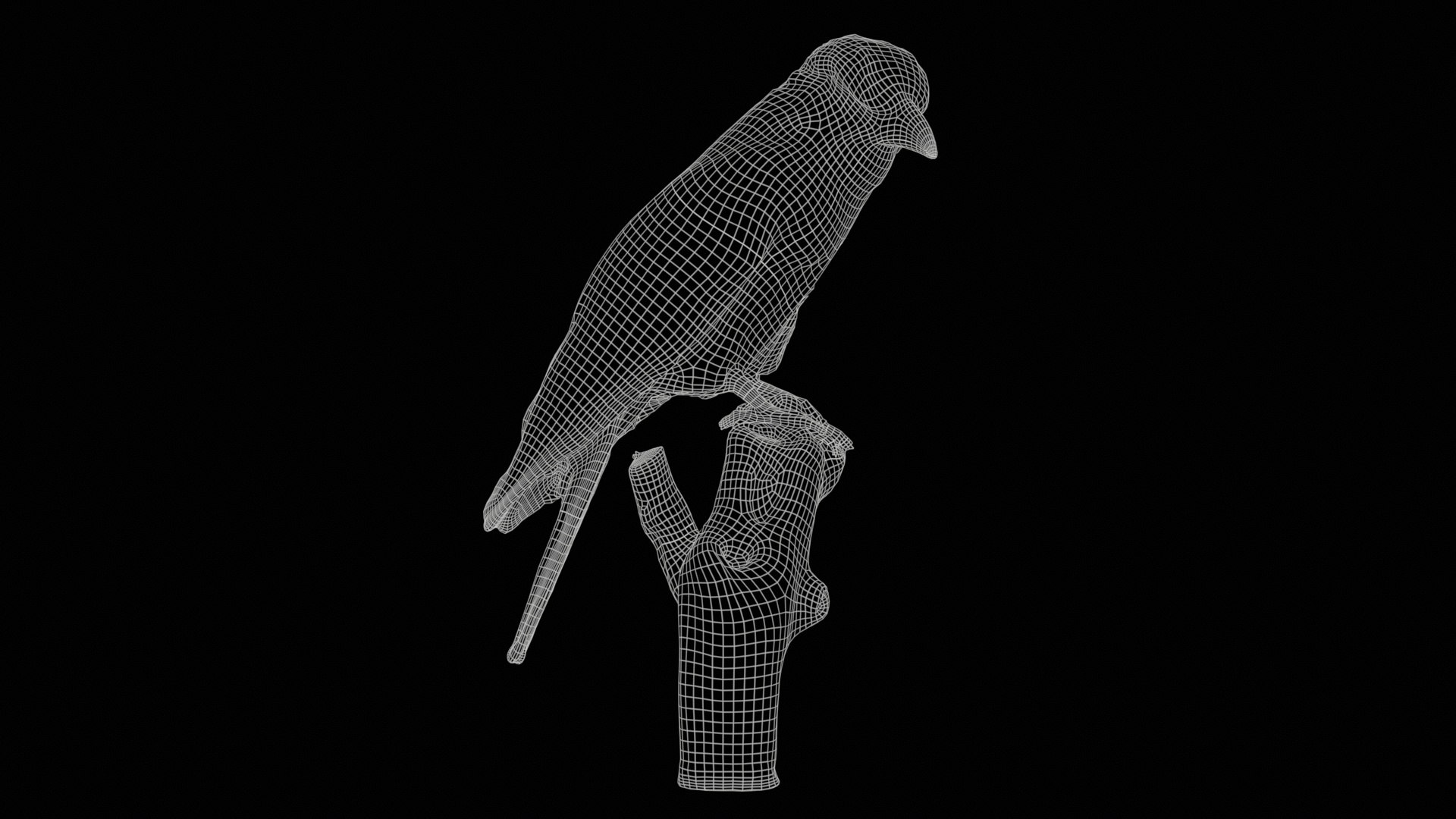 3D European Roller Coracias Garrulus Coraciidae Remastered - TurboSquid ...