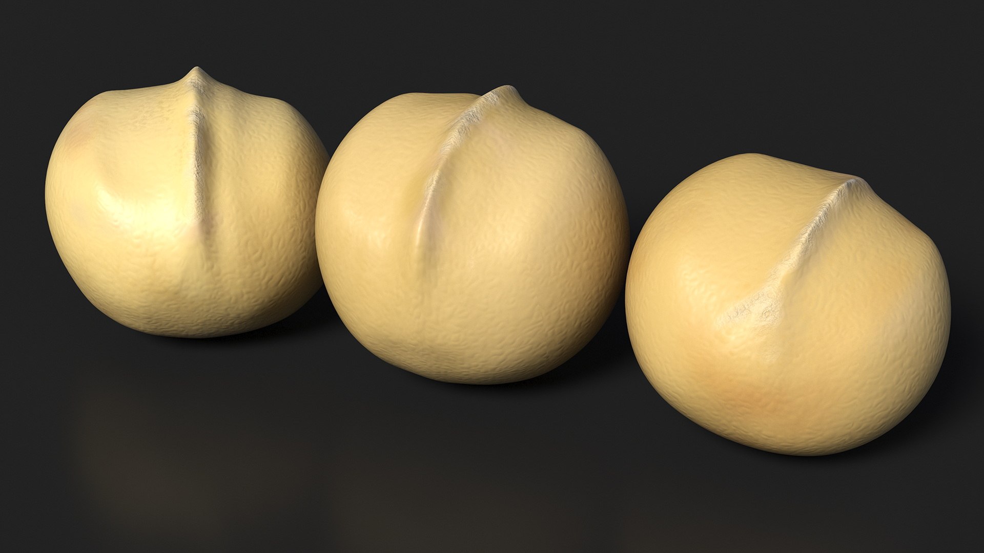 Peeled Macadamia Nuts 3D Model - TurboSquid 2179985