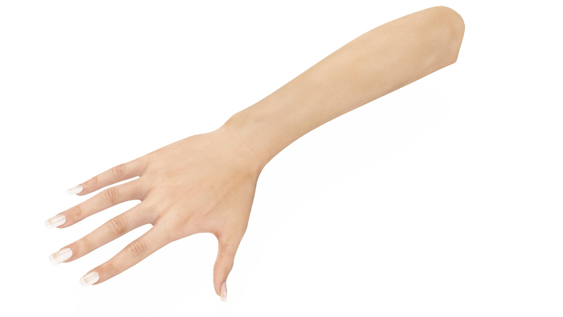 3D European Woman Hand Base Pose - TurboSquid 2195651