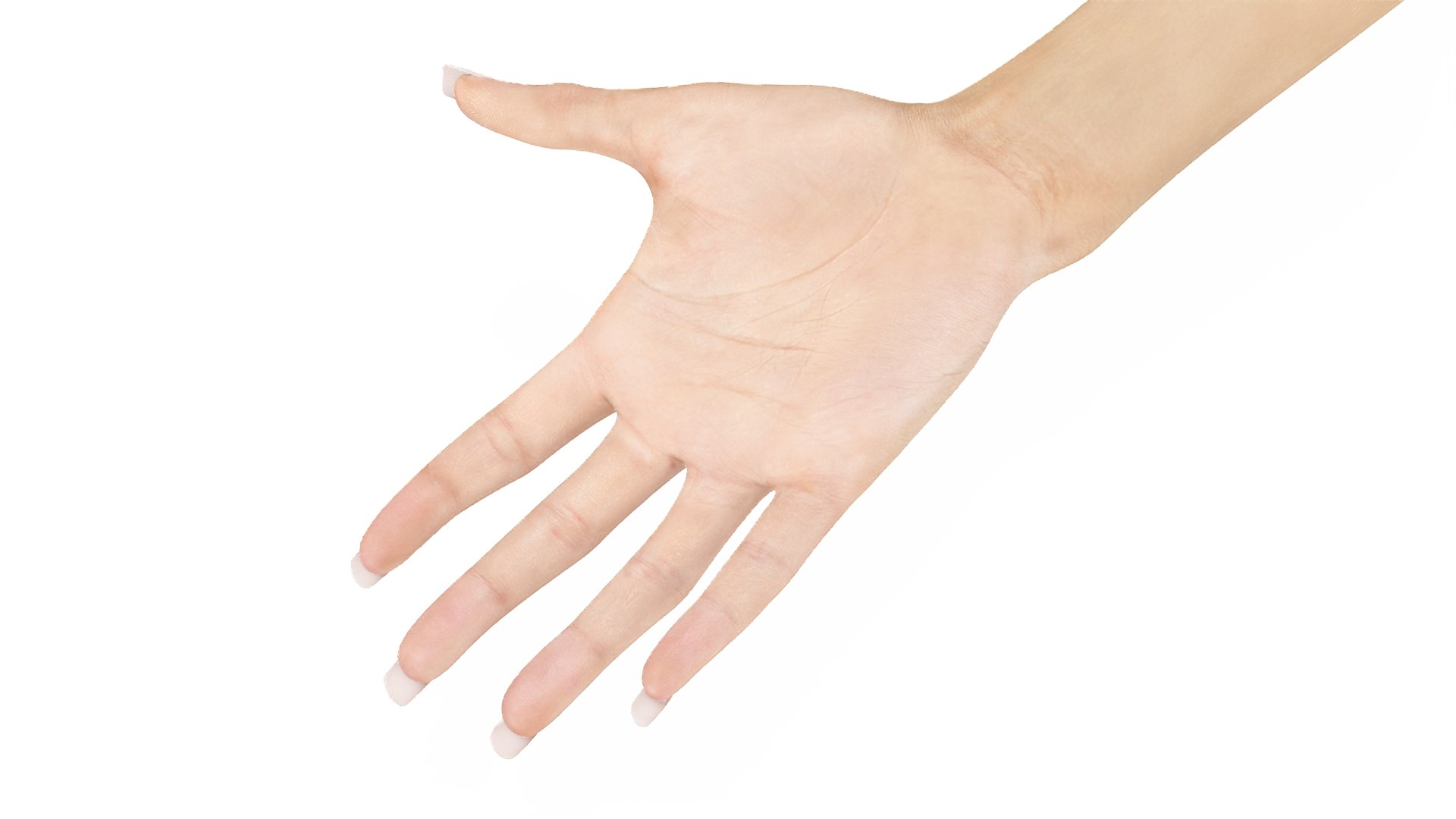 3D European Woman Hand Base Pose - TurboSquid 2195651