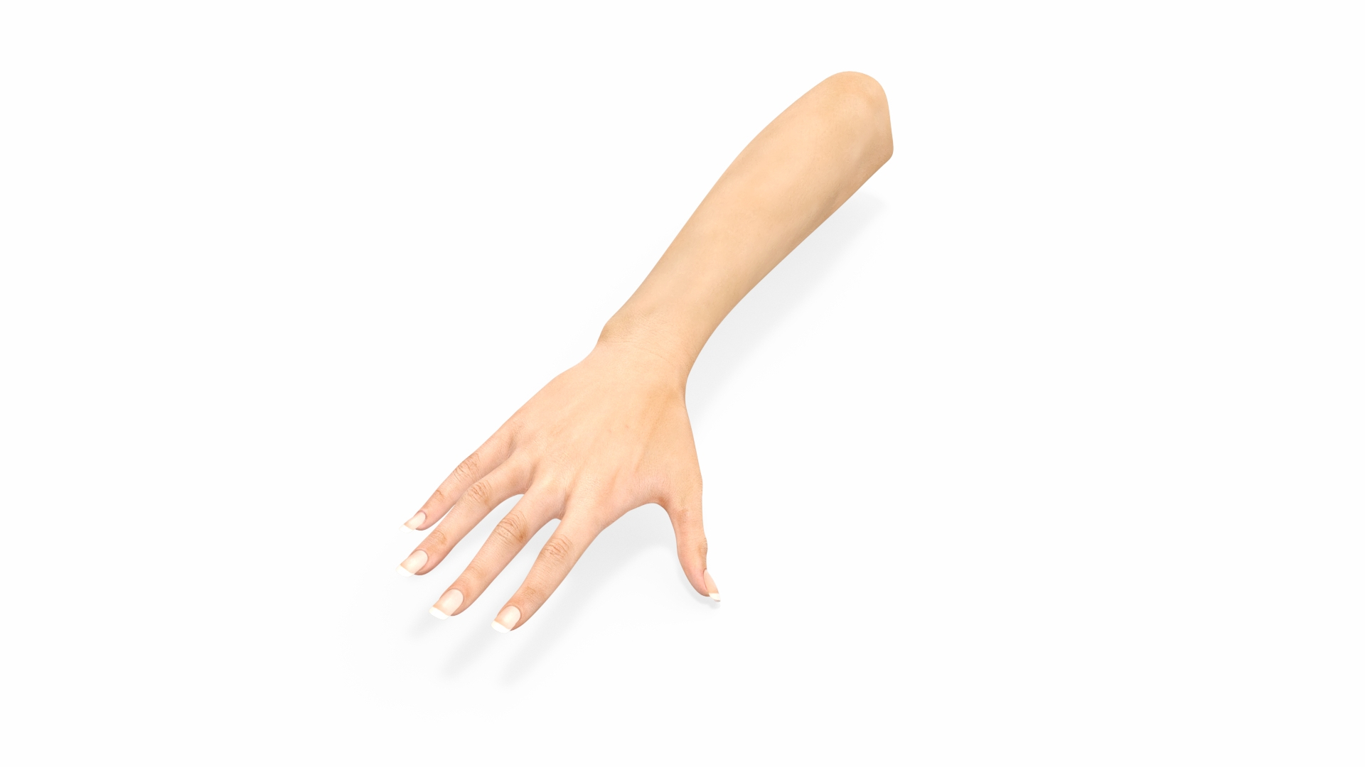 3D European Woman Hand Base Pose - TurboSquid 2195651