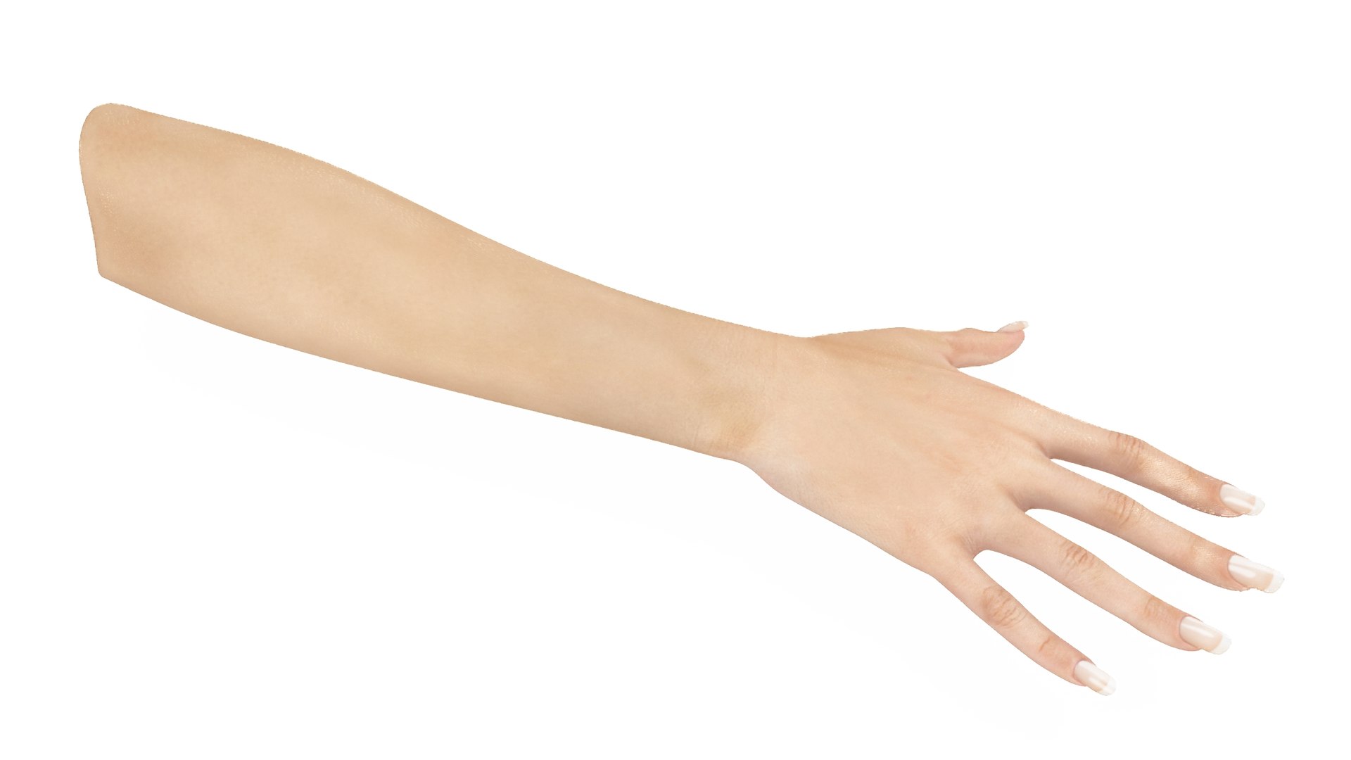 3D European Woman Hand Base Pose - TurboSquid 2195651