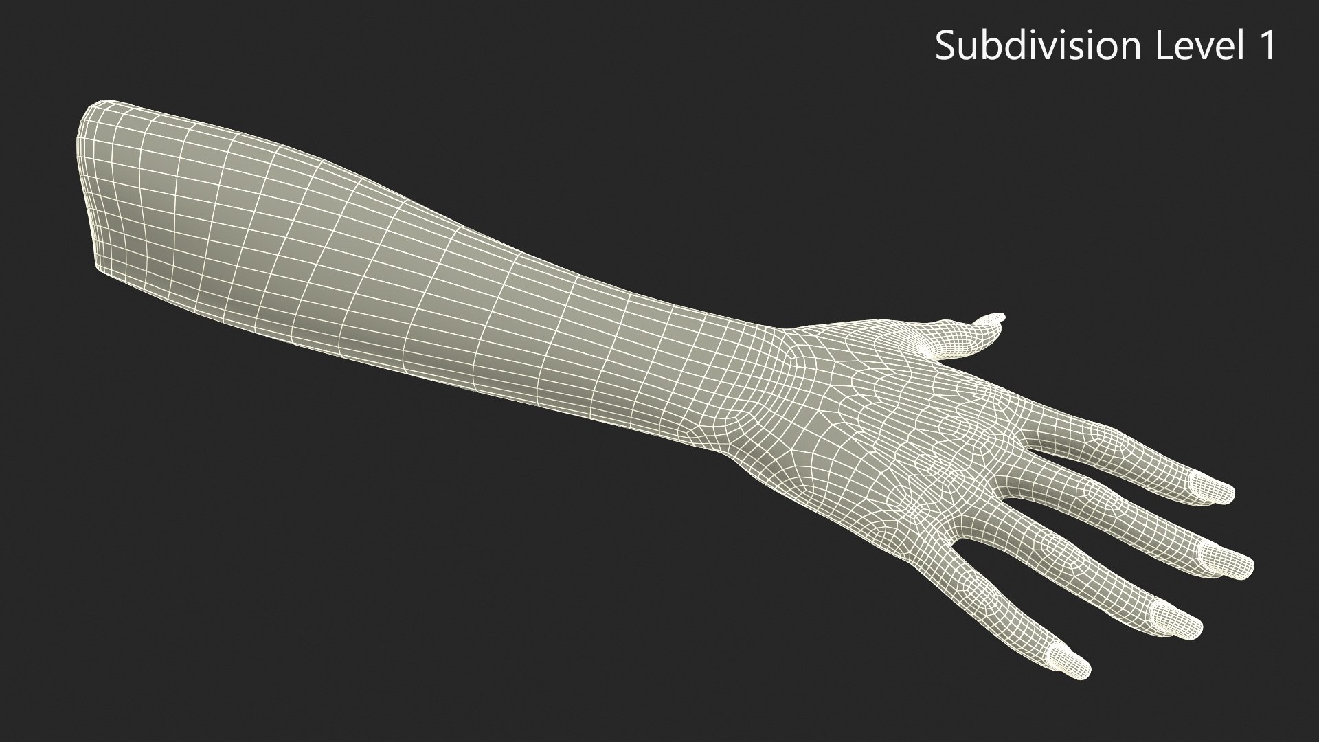 3D European Woman Hand Base Pose - TurboSquid 2195651
