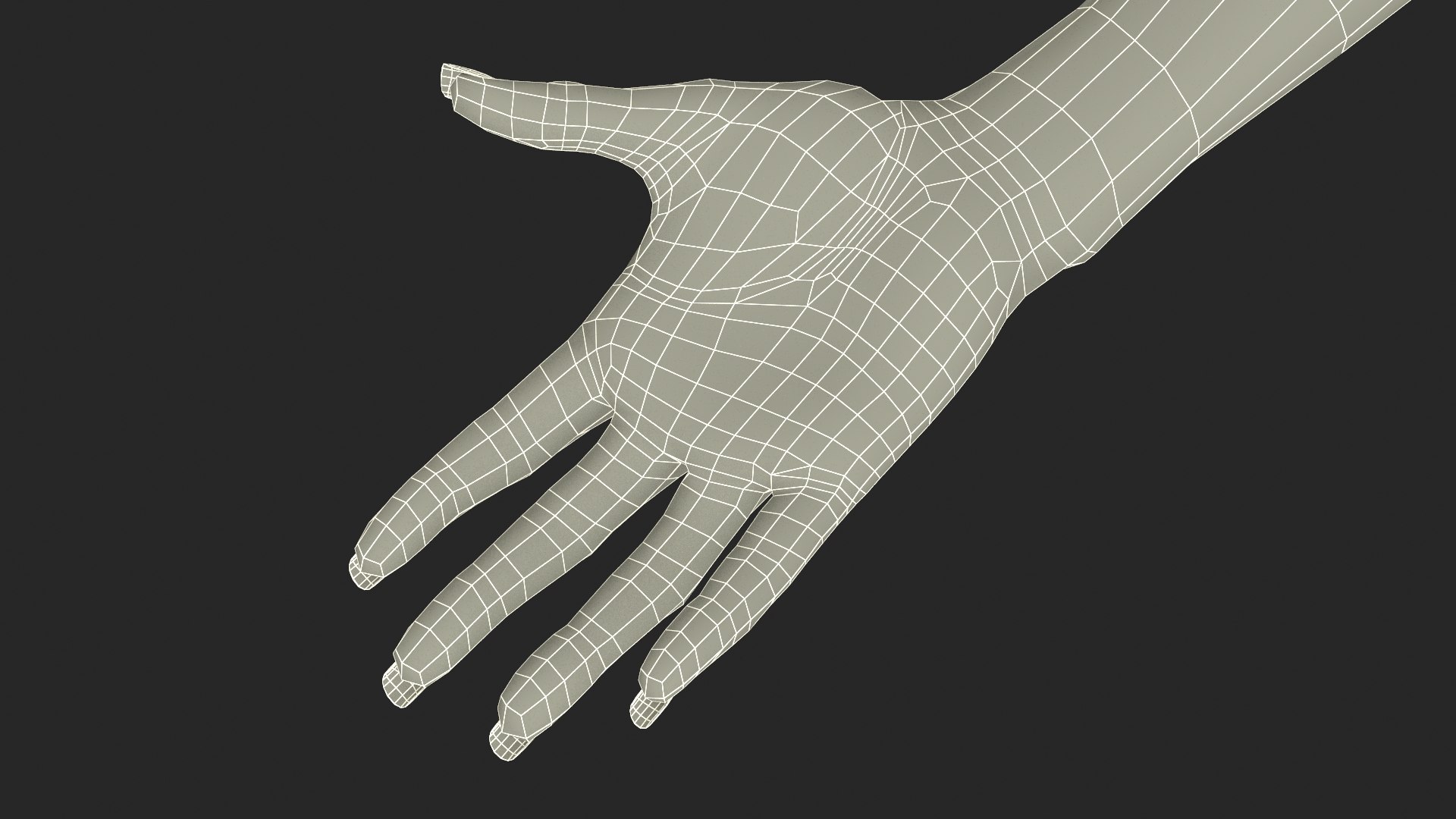 3D European Woman Hand Base Pose - TurboSquid 2195651